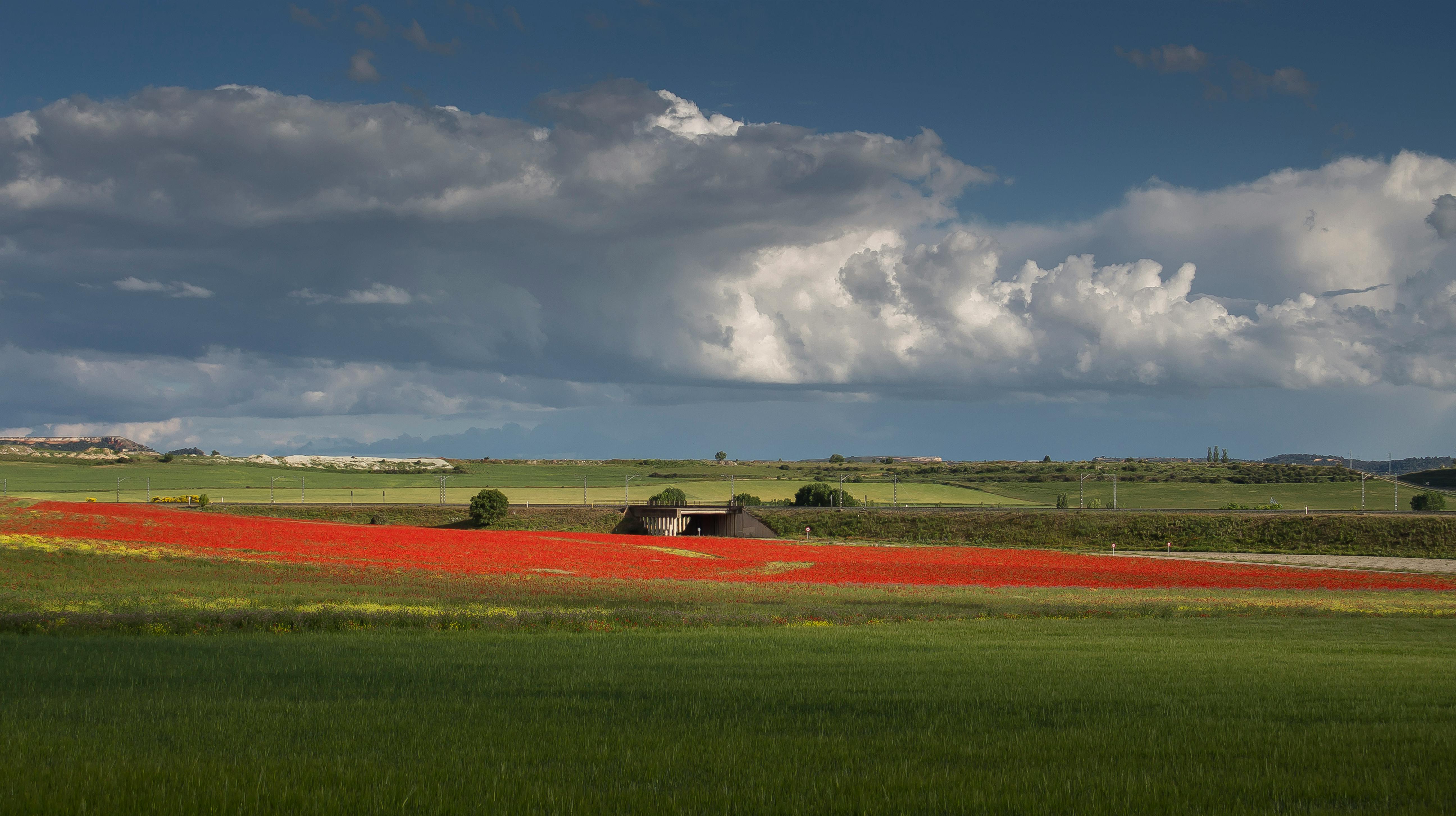 Cloudy Sky over a Grass Field · Free Stock Photo