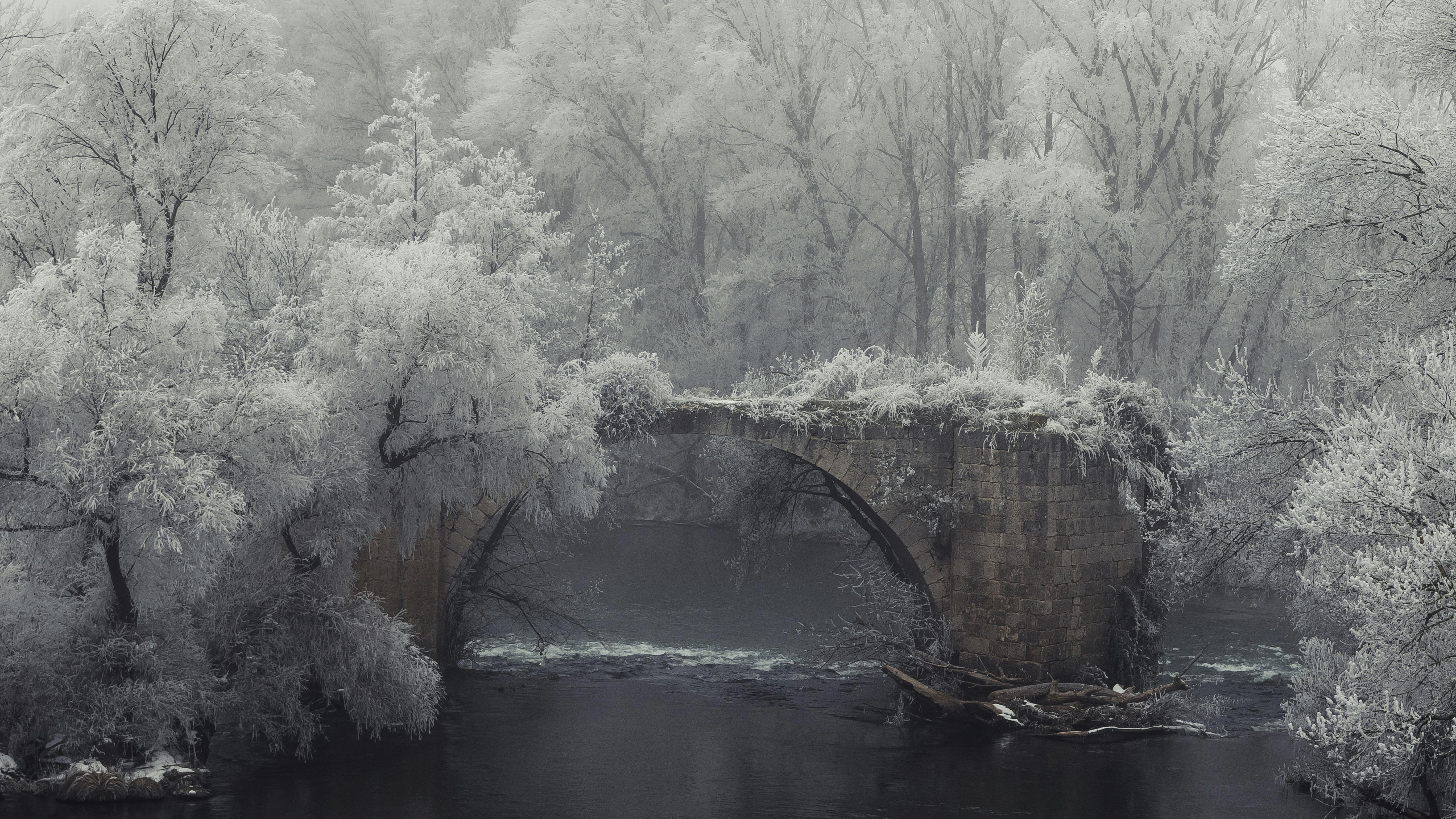 A Concrete Bridge Surrounded by Snow Covered Trees · Free Stock Photo