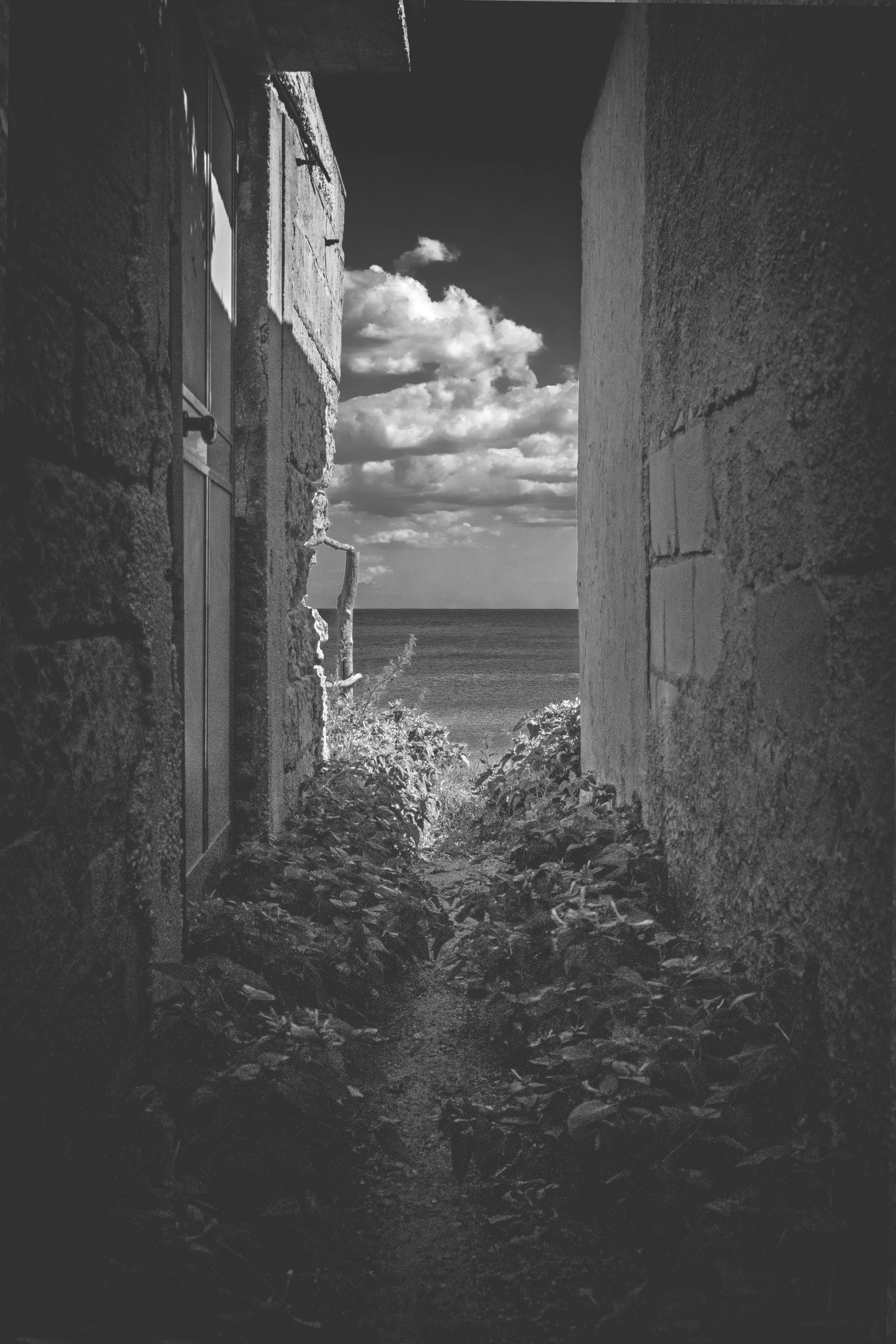 Walk Path in Between Concrete Walls · Free Stock Photo