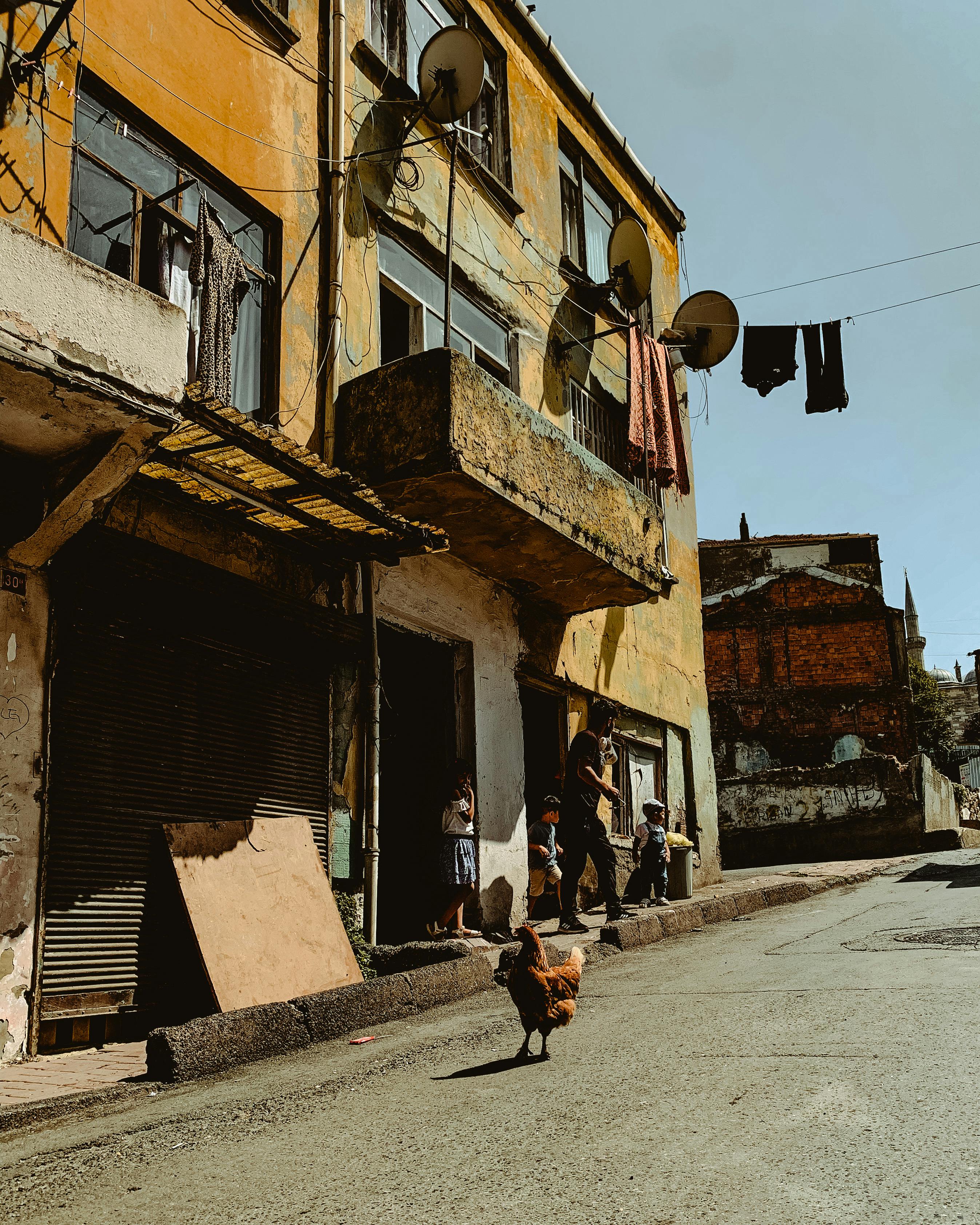 Sky Hen Photos, Download The BEST Free Sky Hen Stock Photos & HD Images