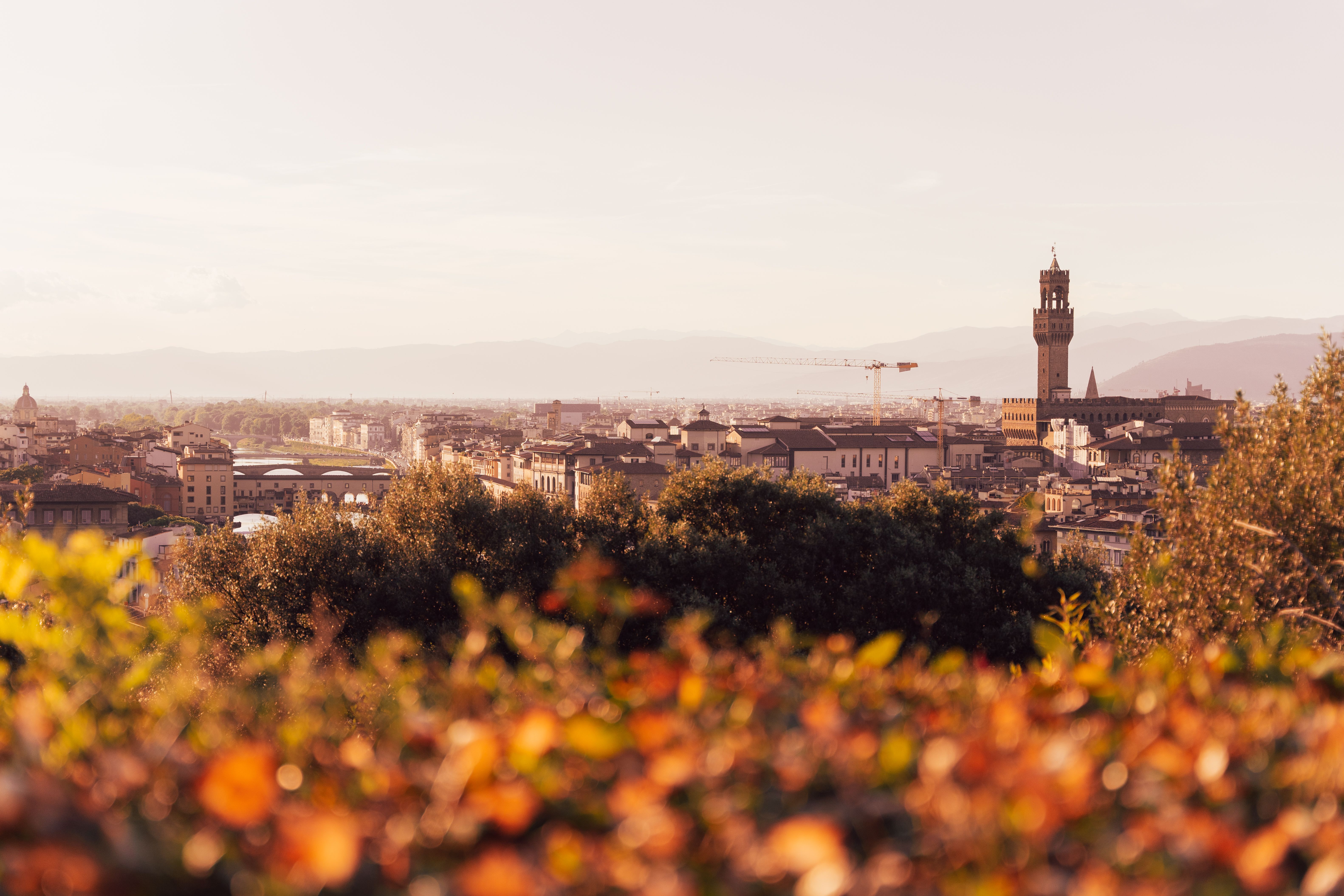 Clear Sky over Buildings in City · Free Stock Photo