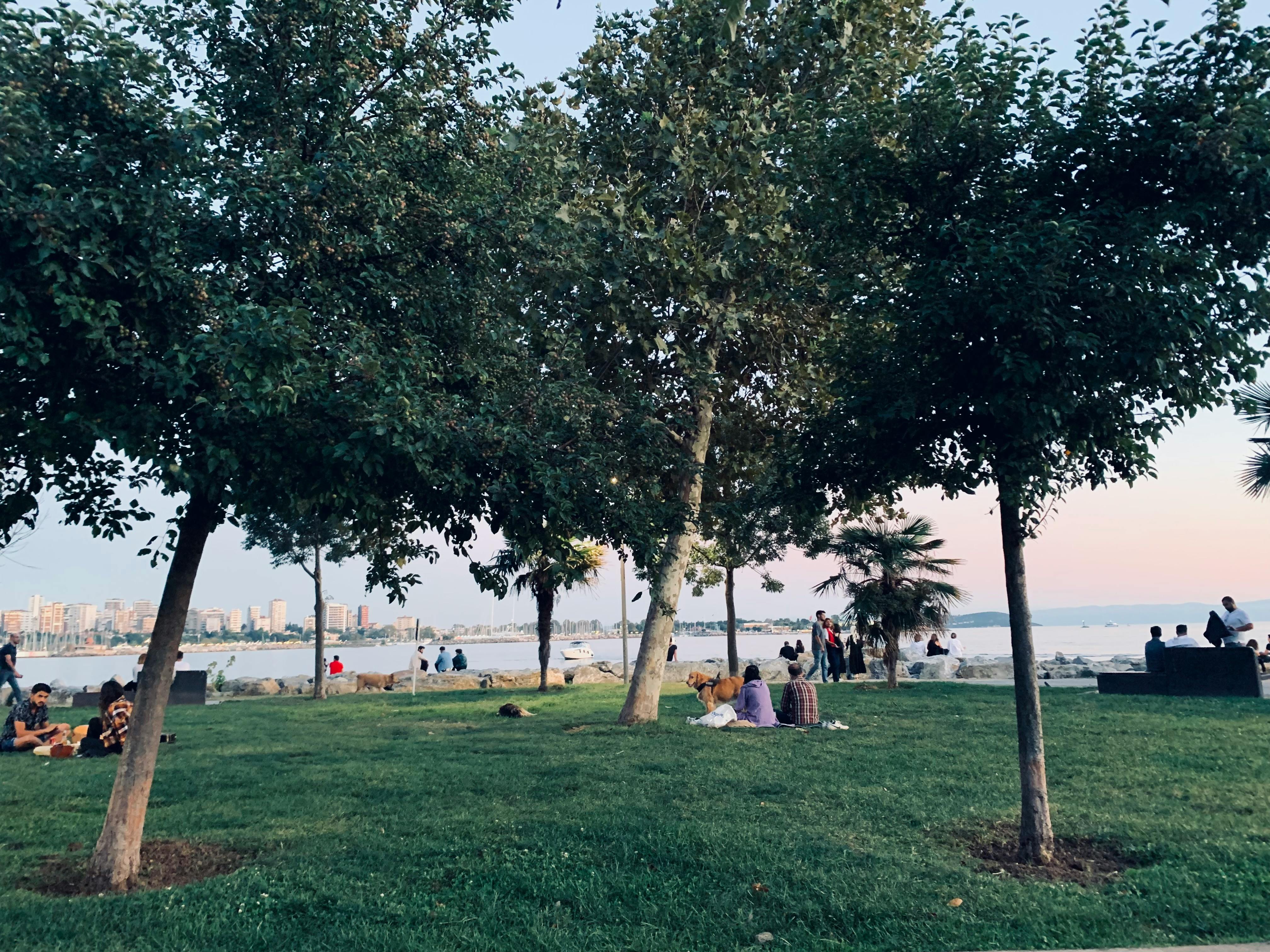 People Relaxing in the Park · Free Stock Photo