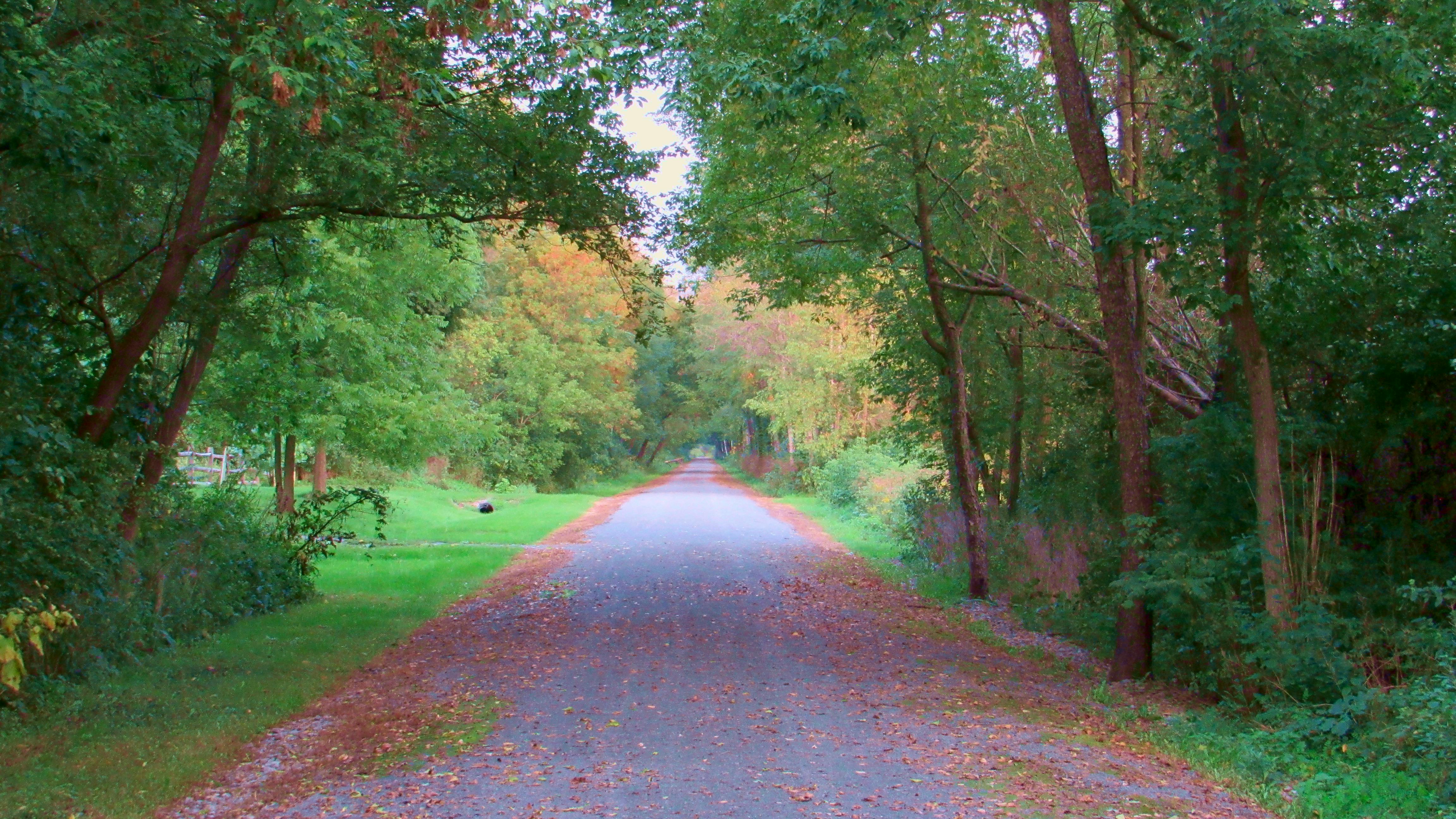 Nature Pictures 34 Photos & Videos Collected by Peter Tremblay