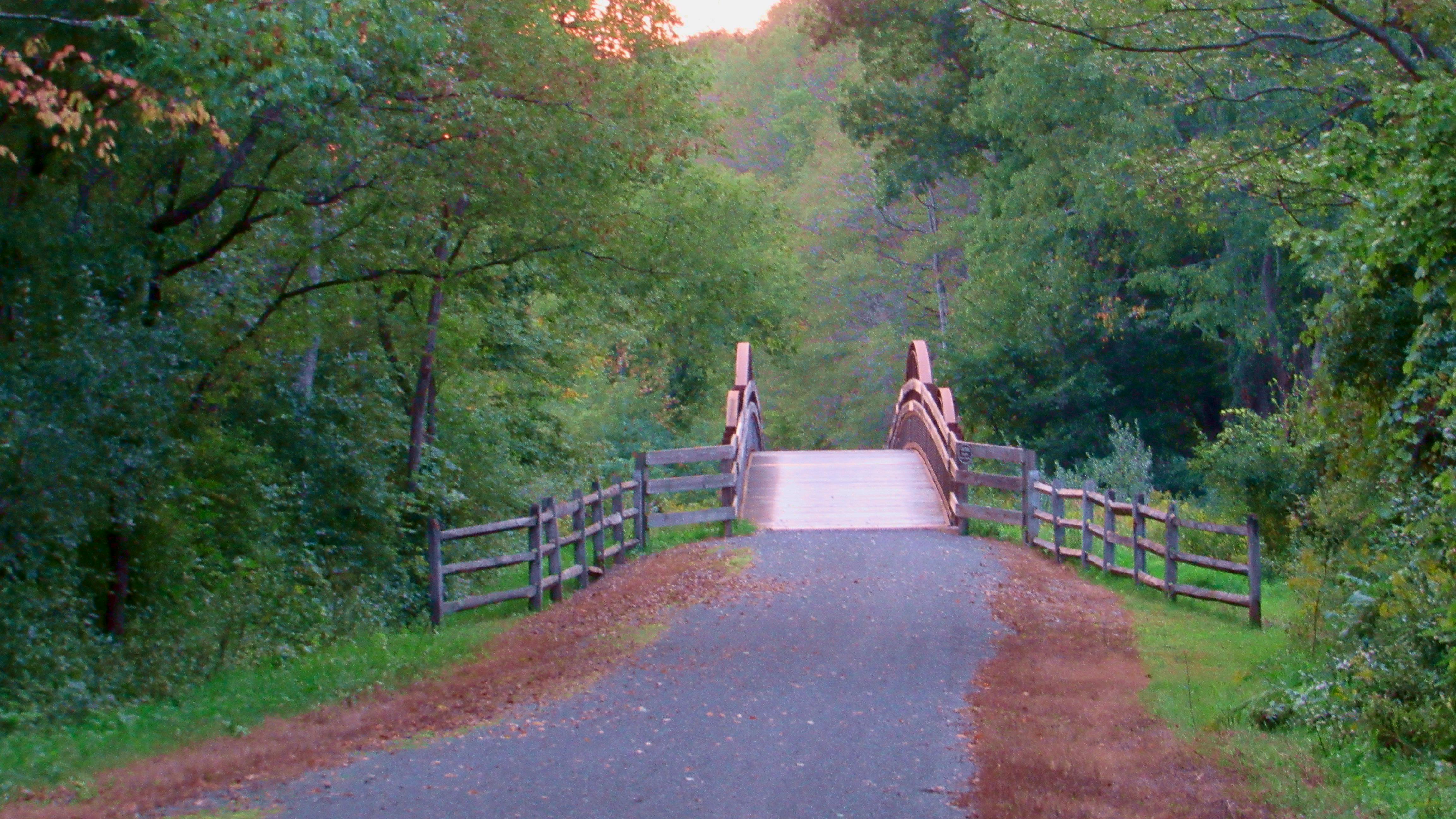 Peter Tremblay - 写真