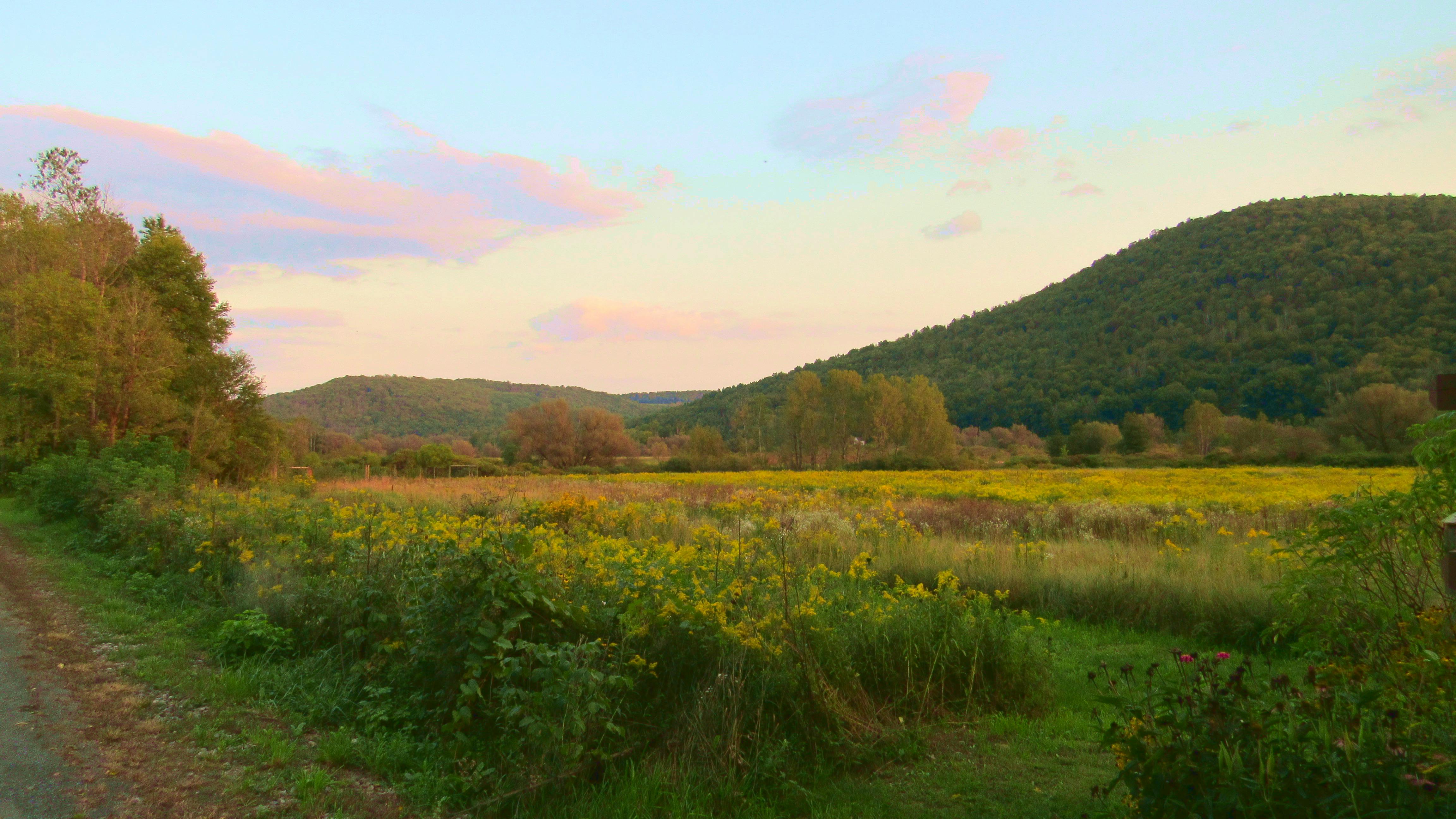 Nature Pictures 34 Photos & Videos Collected by Peter Tremblay