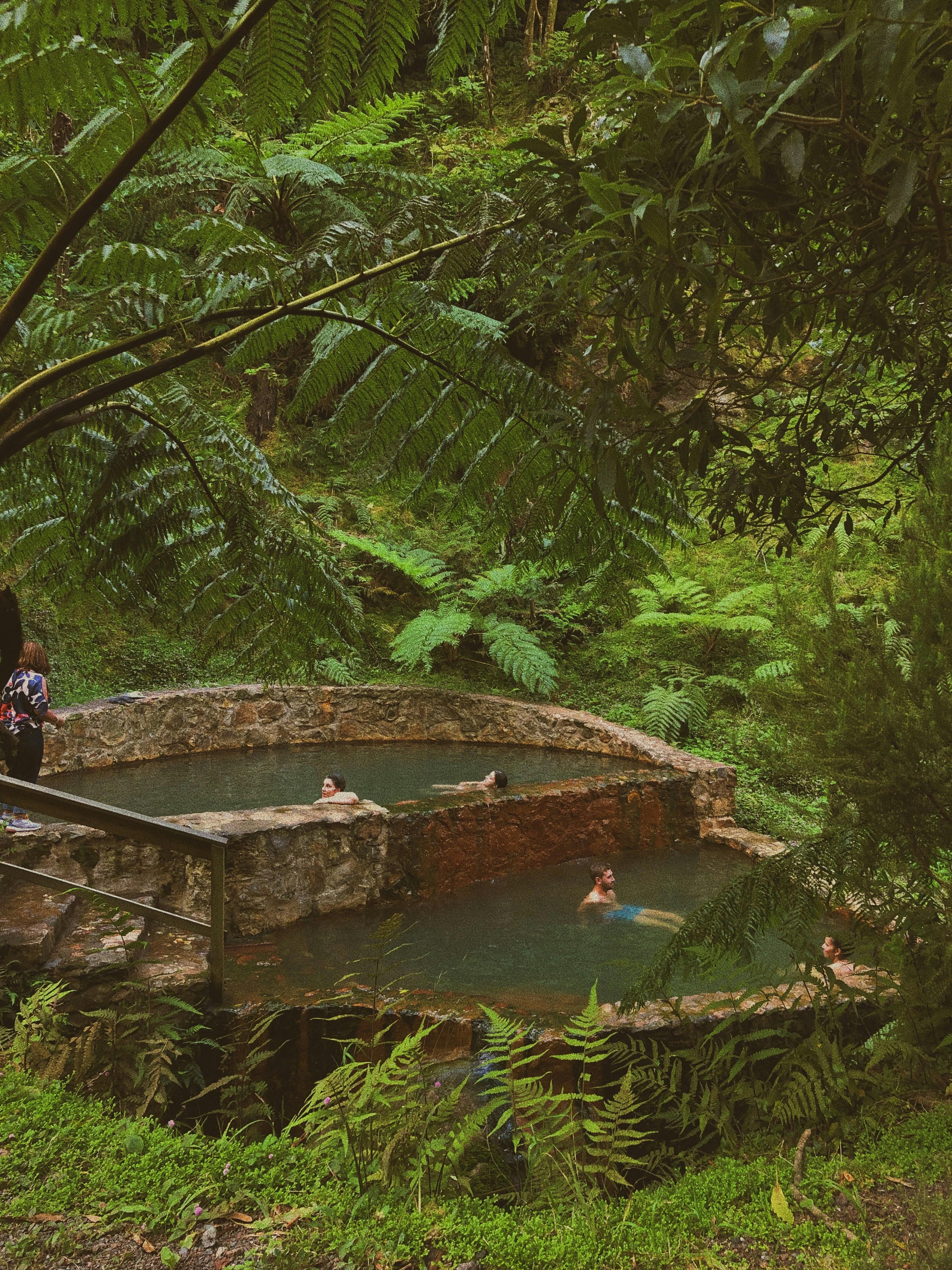 Shallow Hot Springs by Forest Line · Free Stock Photo