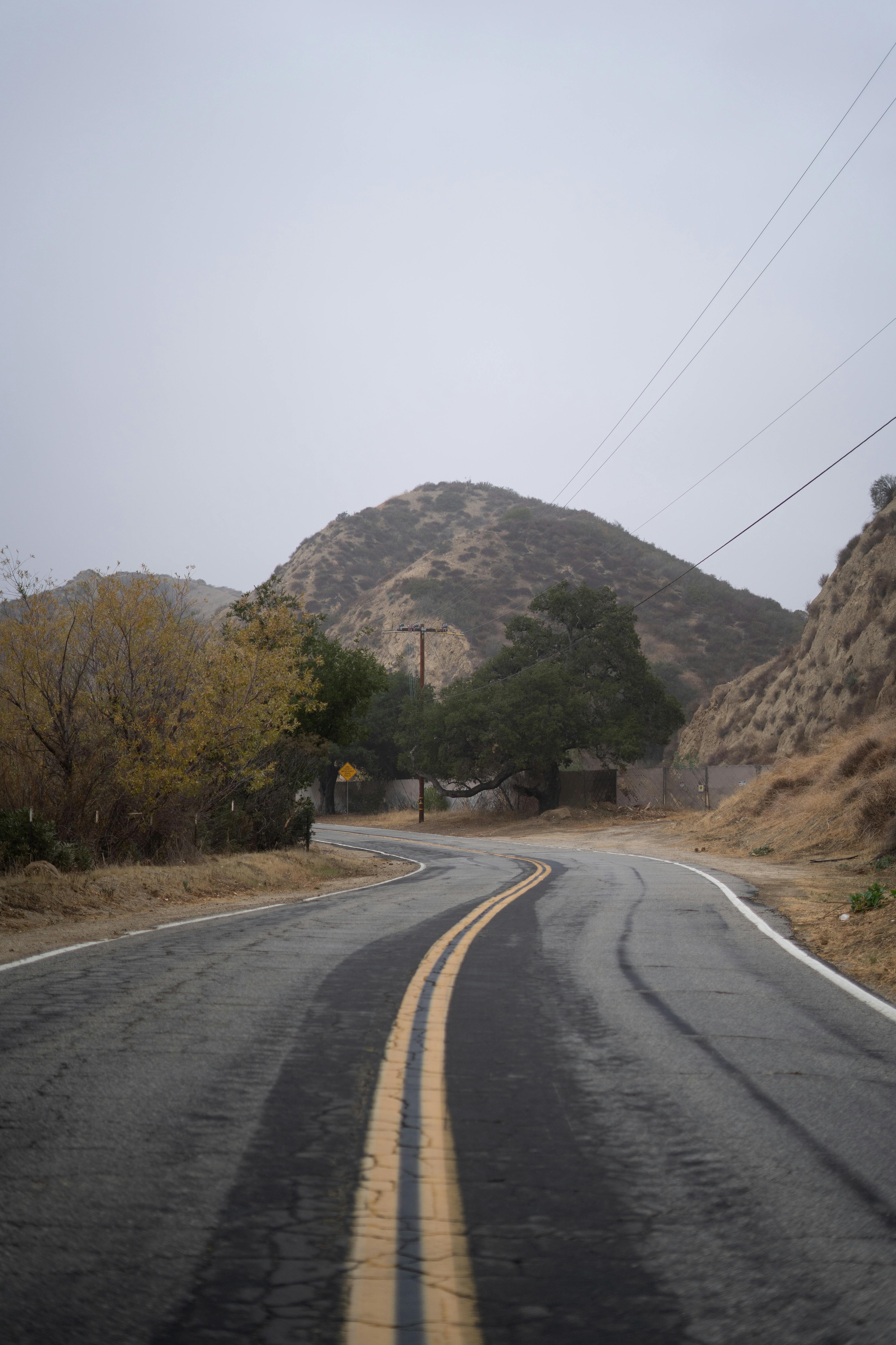 The forest road · Free Stock Photo