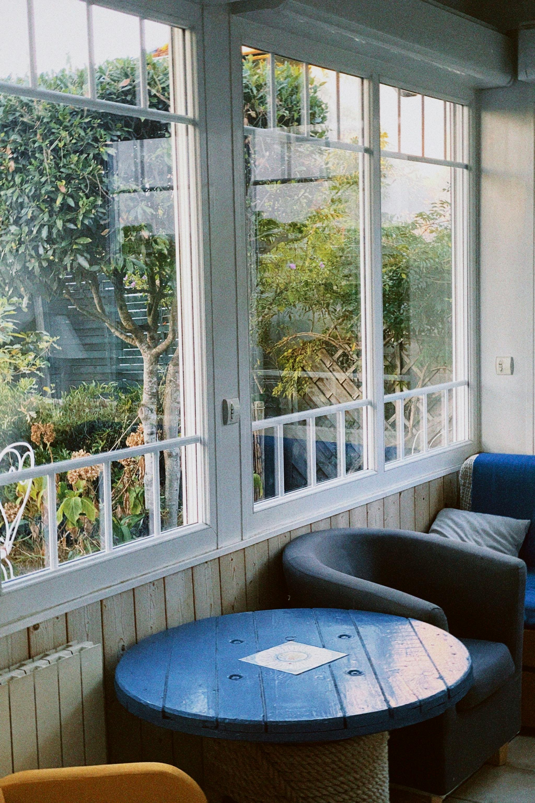 Tree and Plants behind Windows · Free Stock Photo