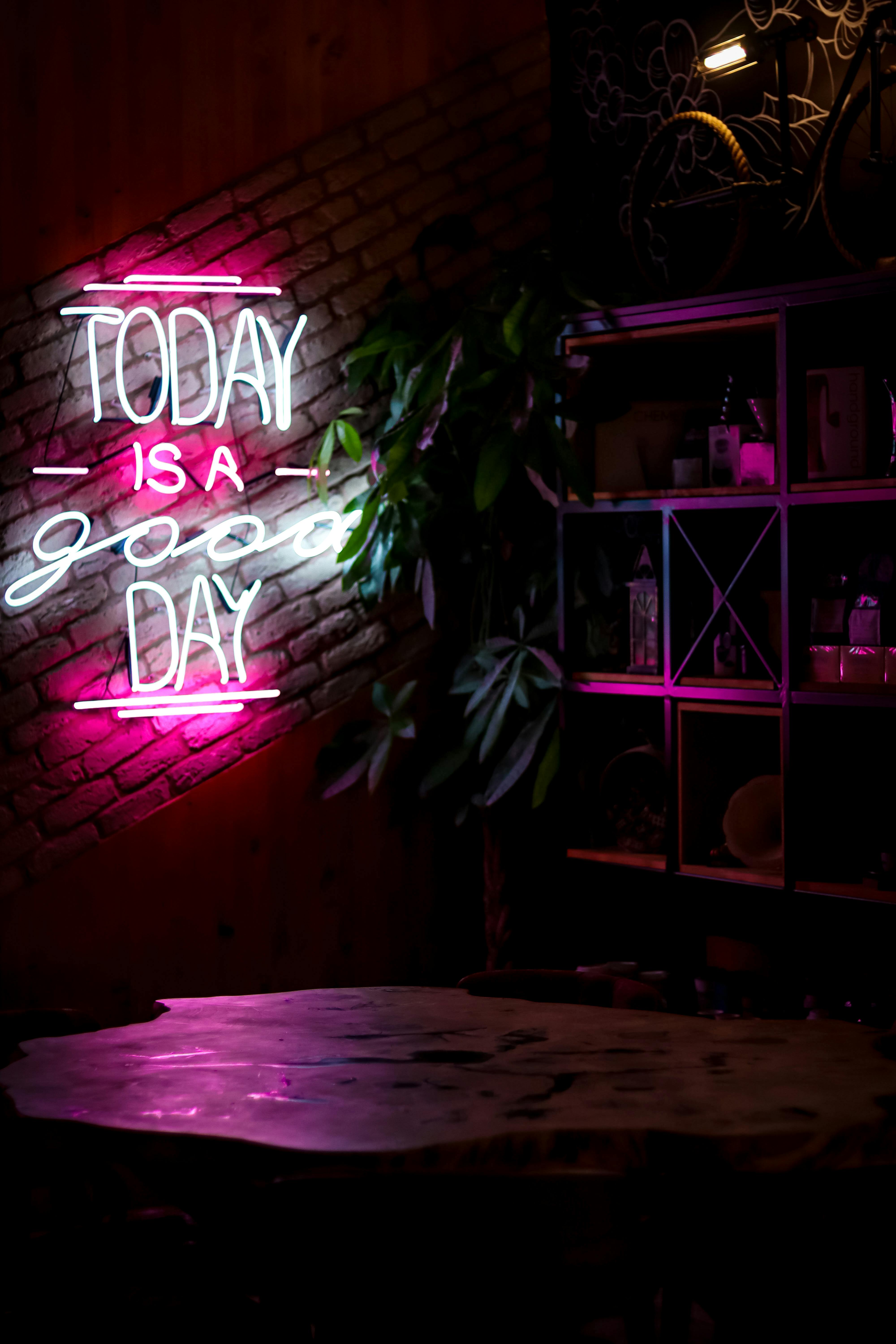 Neon Sign on Brick Wall · Free Stock Photo