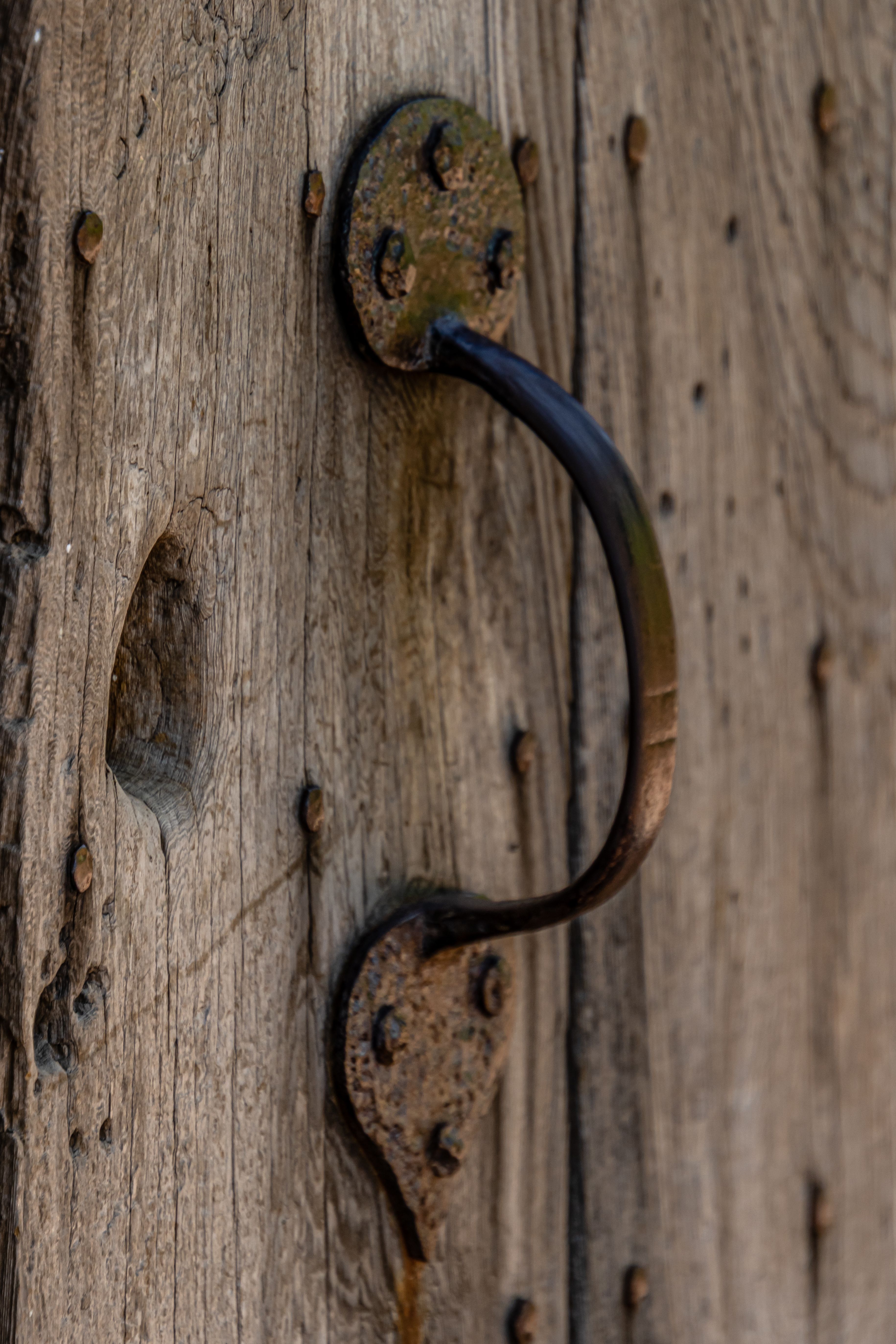 Close-up Photo of a Lion Door Knocker · Free Stock Photo