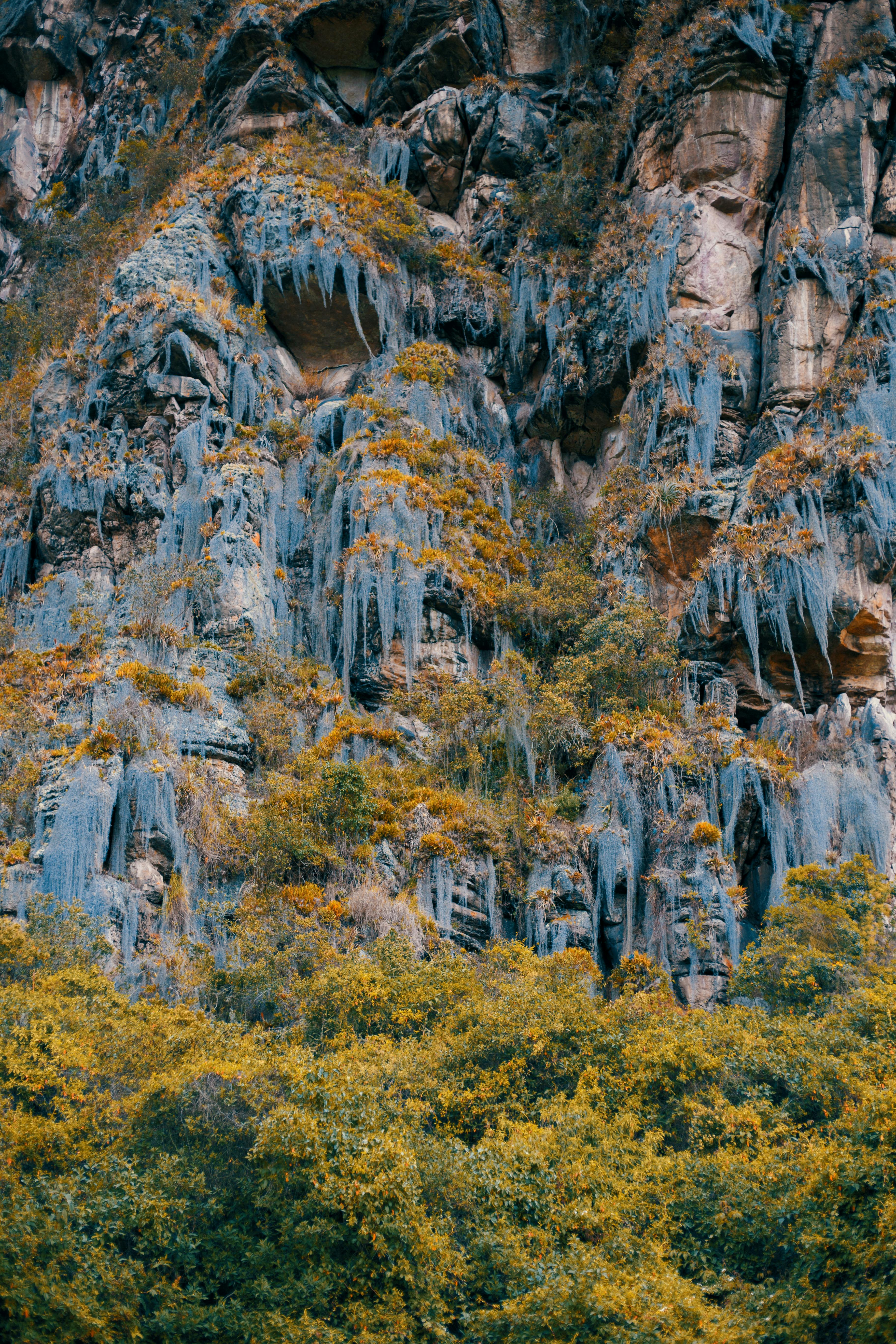 Moss Covered Cliff Side · Free Stock Photo
