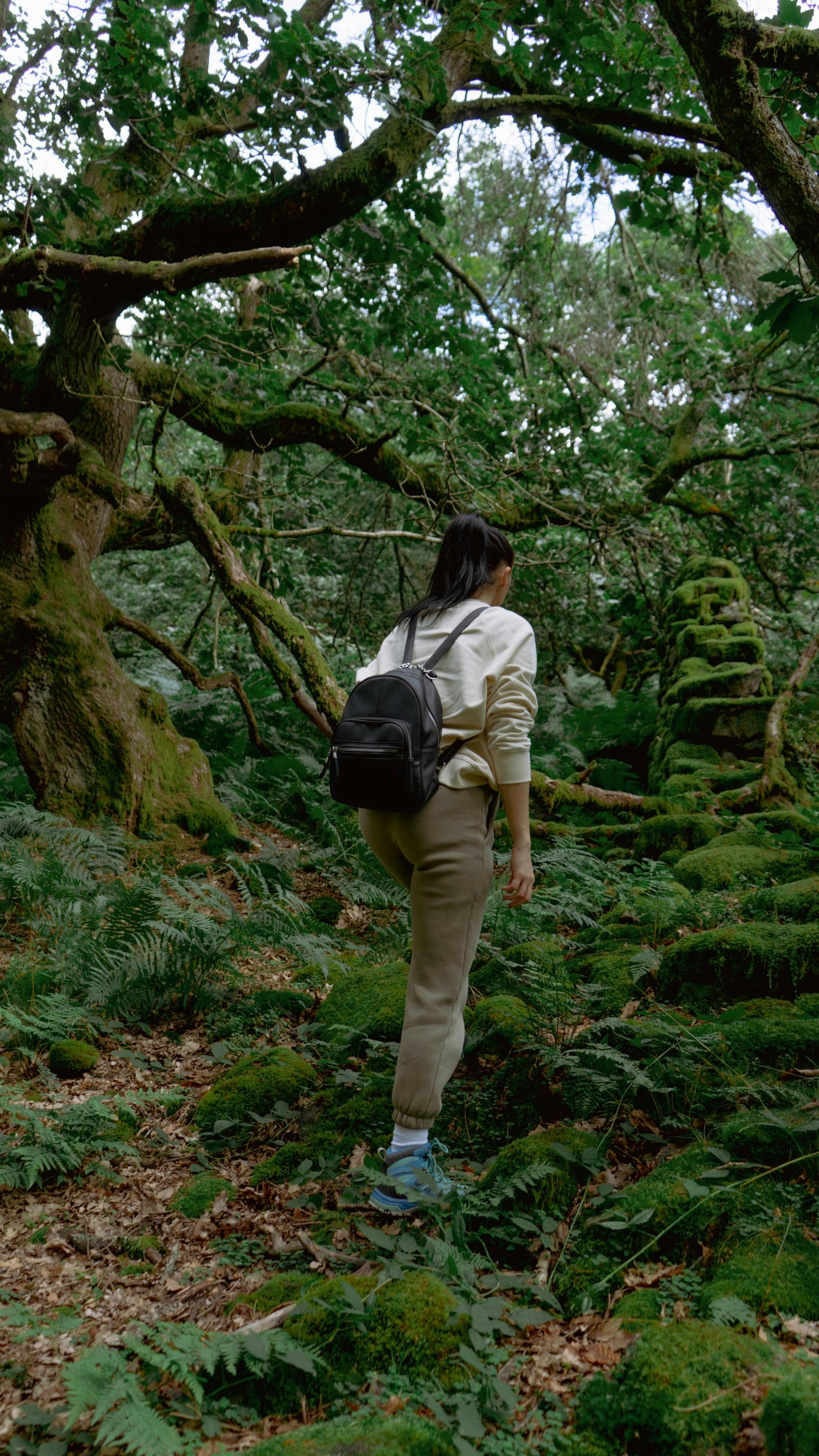 A Woman in a Sweater Walking in a Forest · Free Stock Photo