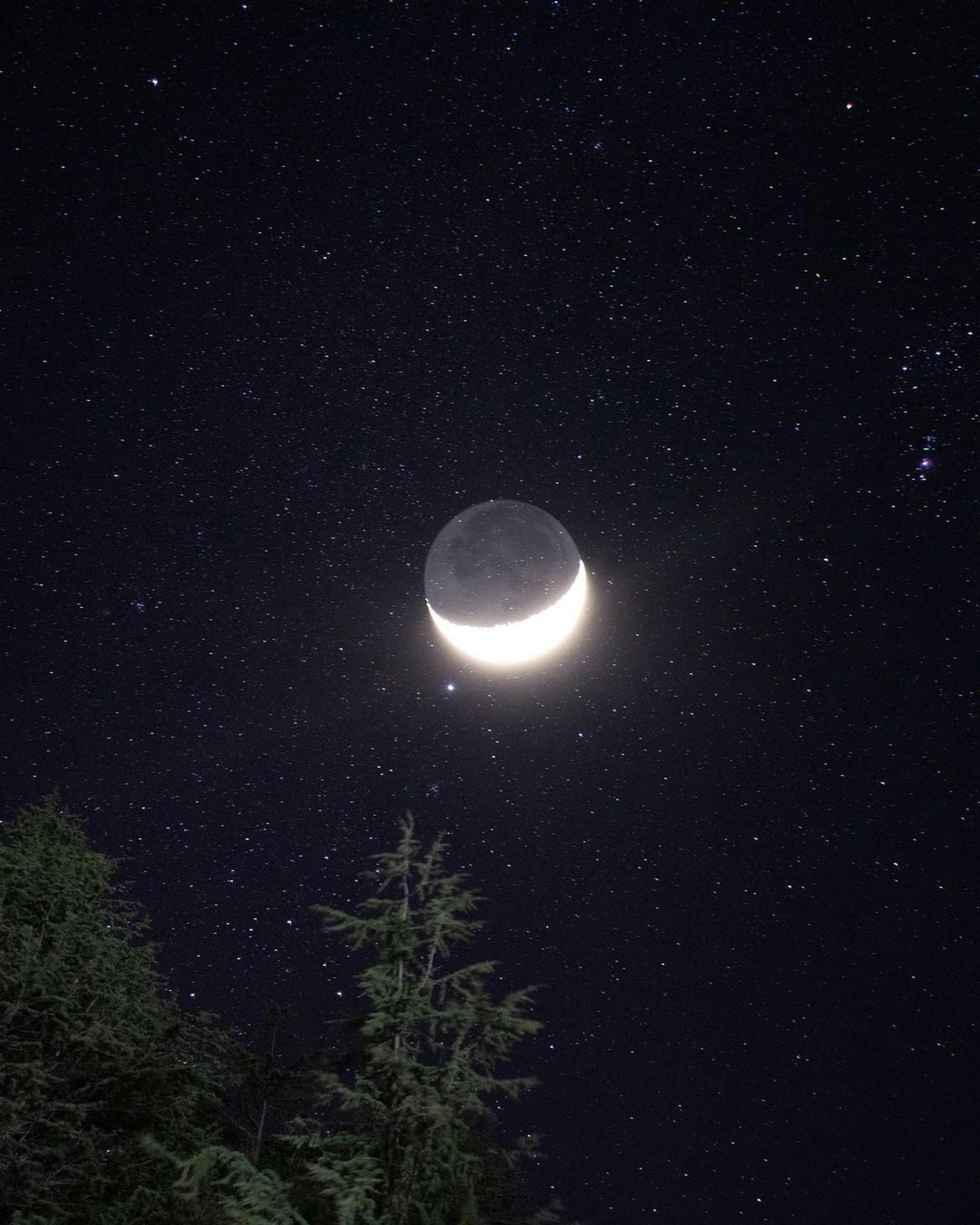 Full Moon in Night Sky · Free Stock Photo