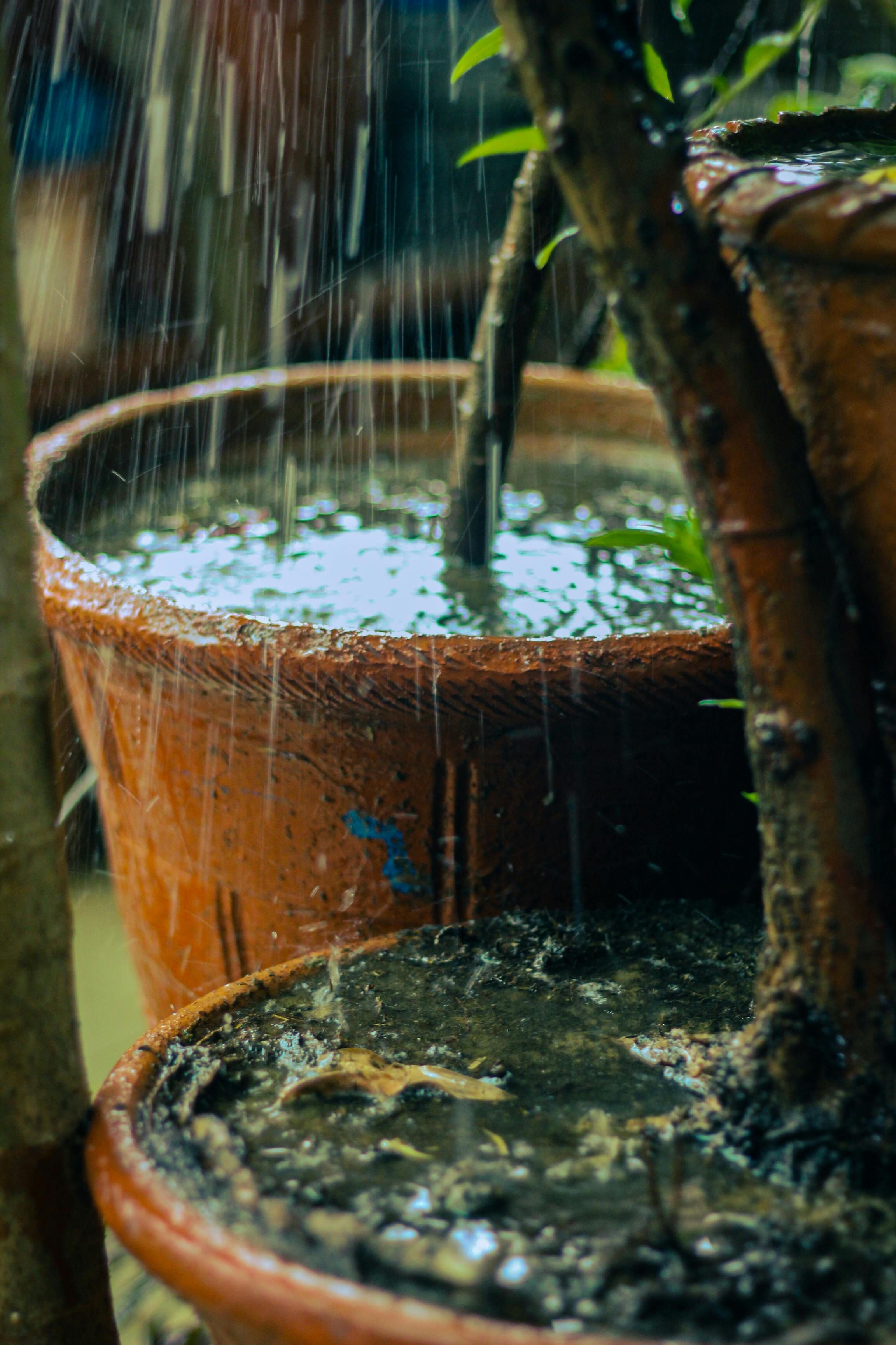 Photograph of Pots with Water · Free Stock Photo