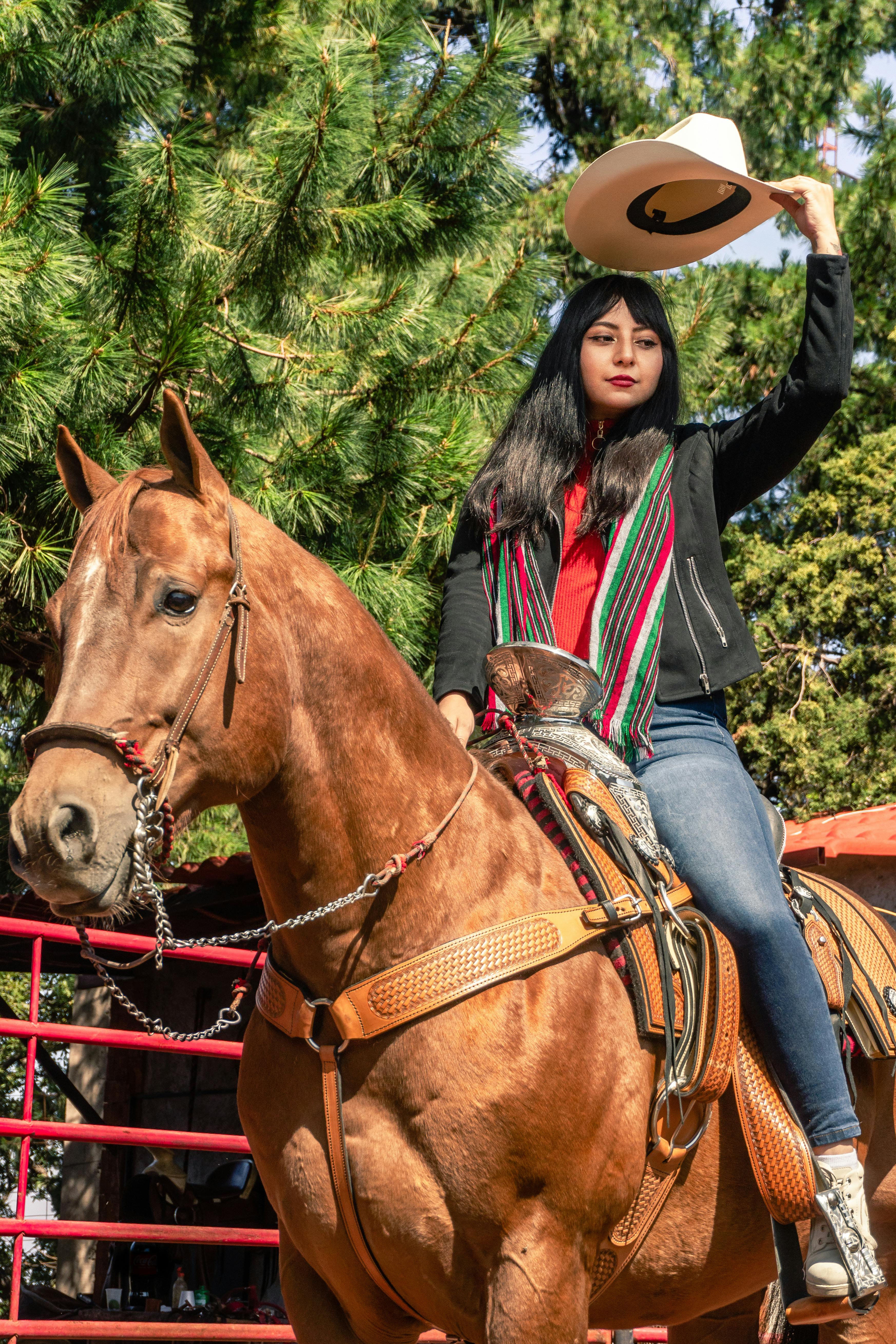 Foto de stock gratuita sobre actividad al aire libre, al aire libre ...