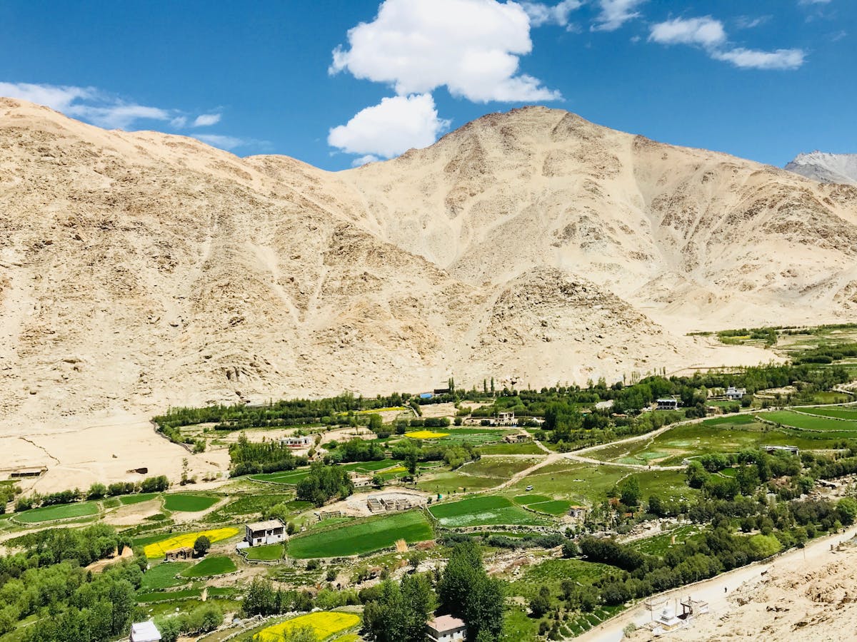 Buying Land For Piggery: Filipino Residential Lot Tips - RichestPH