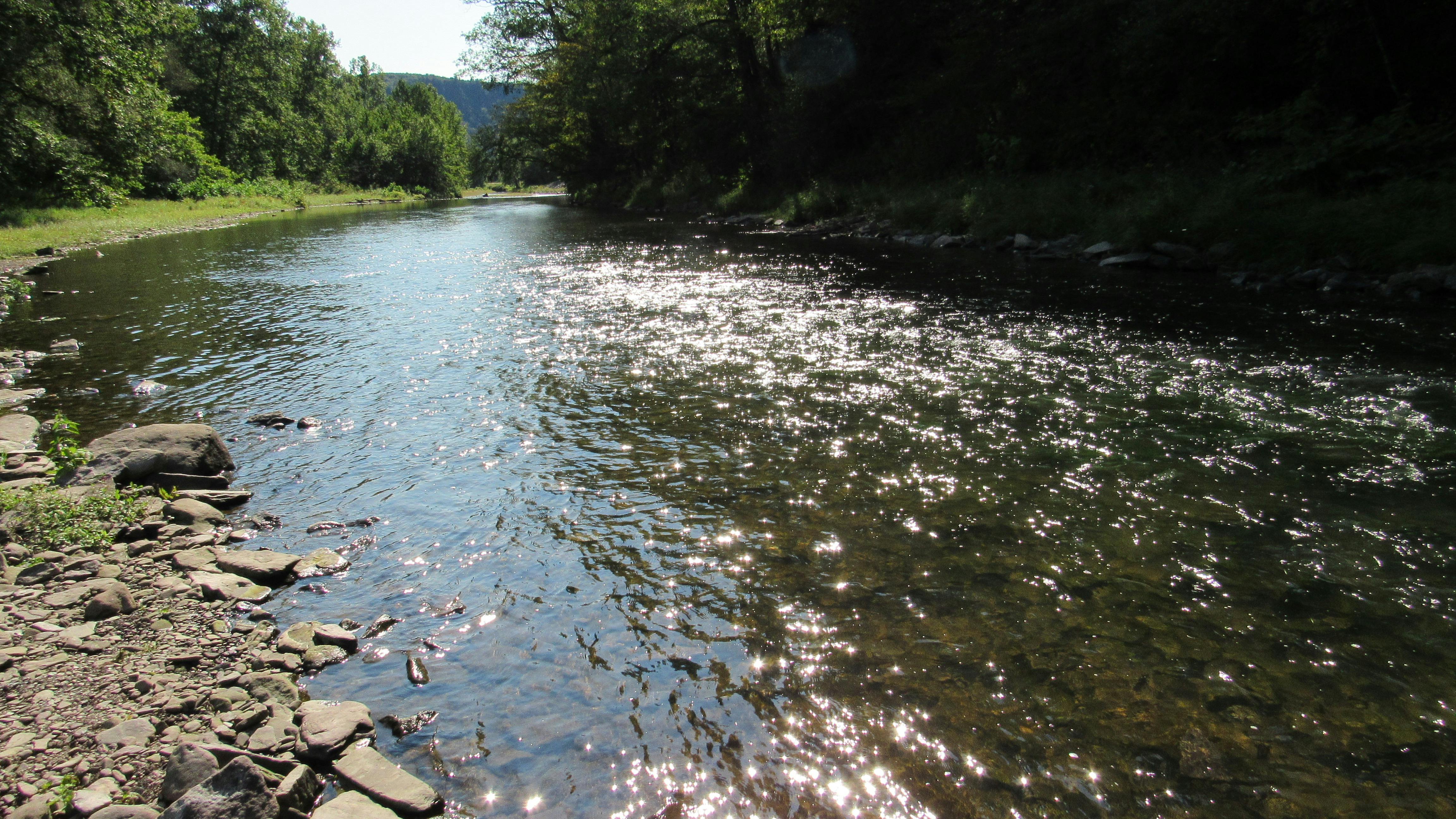 Peter Tremblay - 写真