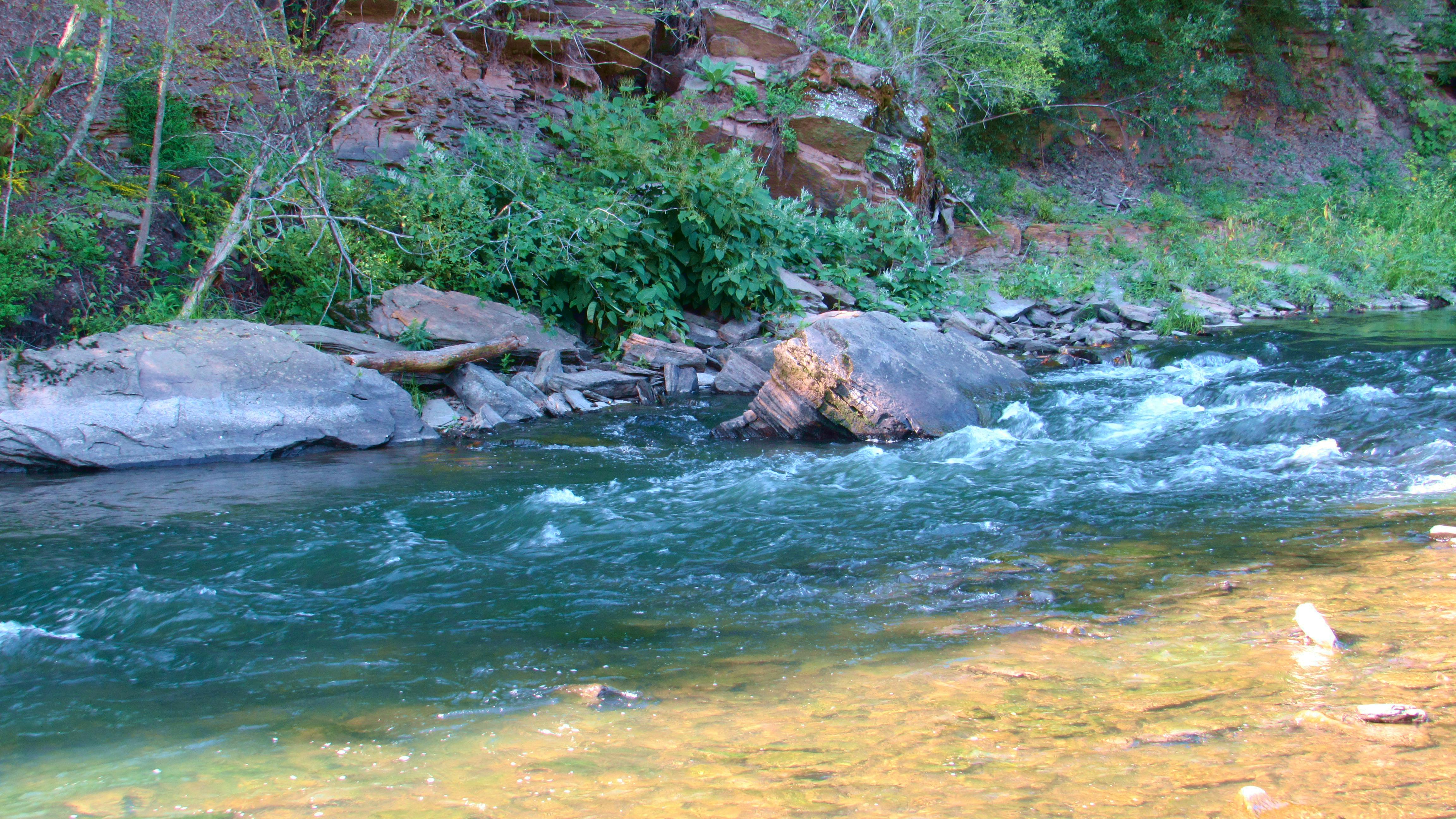 Nature Pictures 34 Photos & Videos Collected by Peter Tremblay