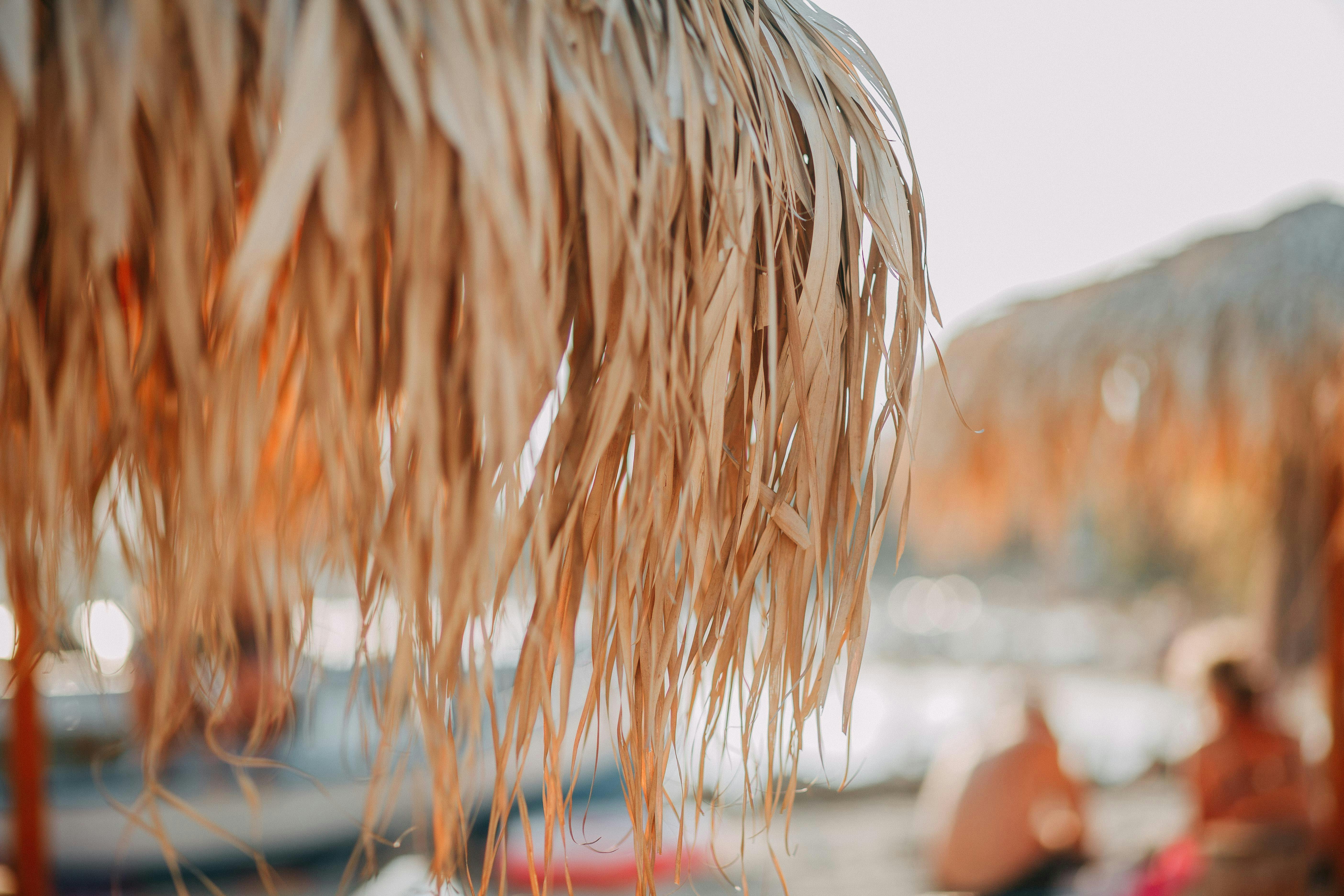 Brown Nipa Hut · Free Stock Photo