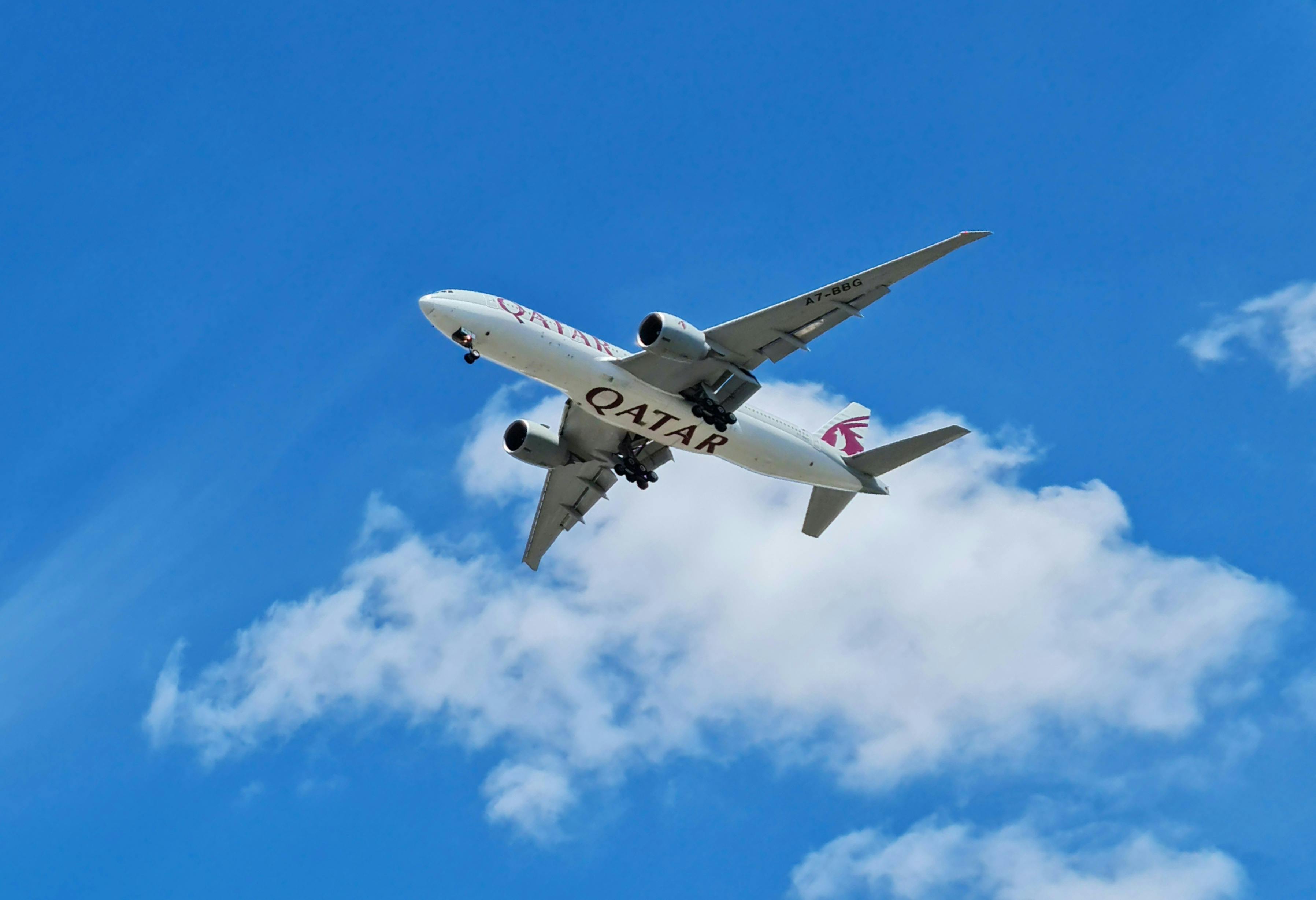 David Rodrigues - 사진