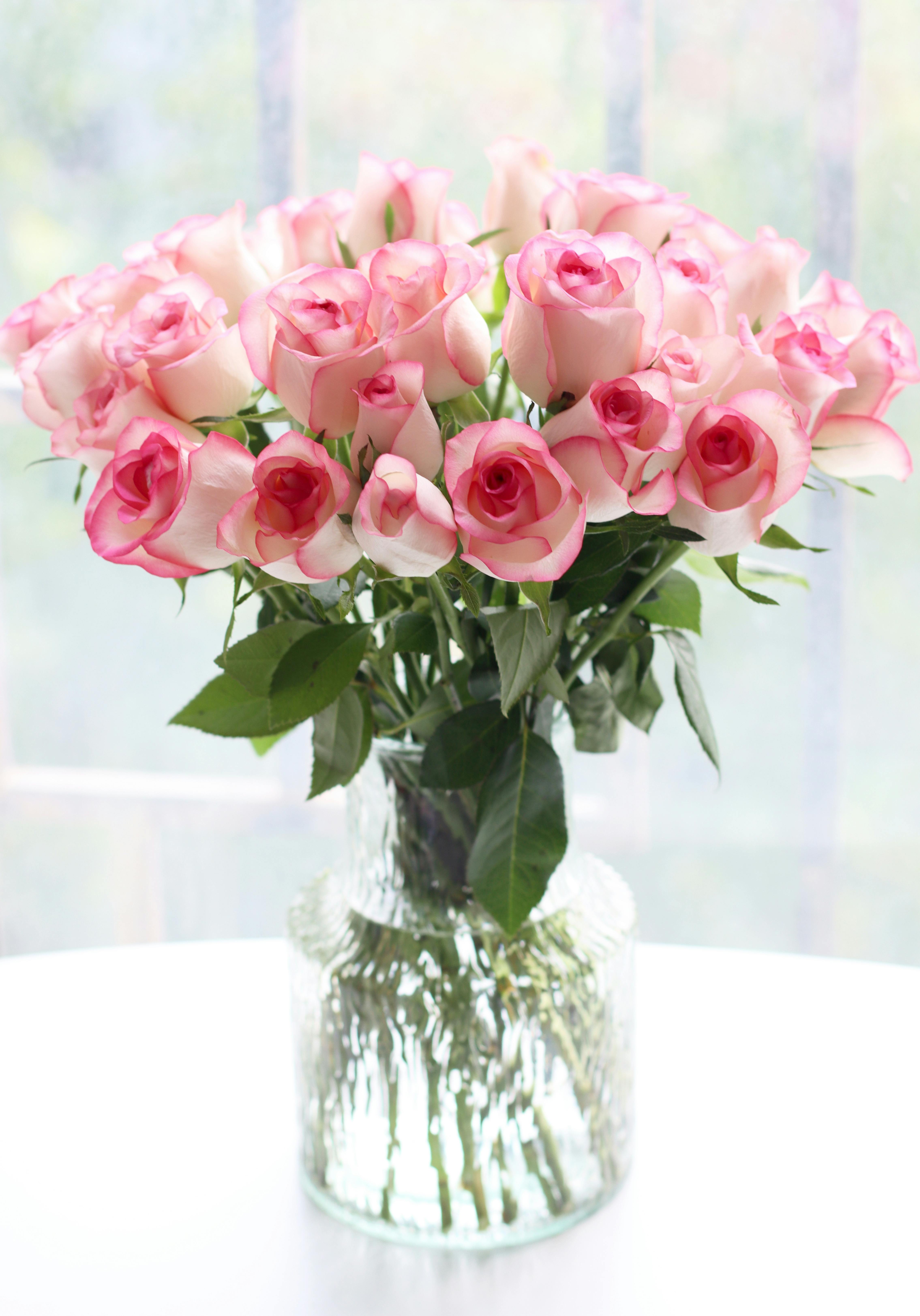 Roses in a Glass Vase · Free Stock Photo