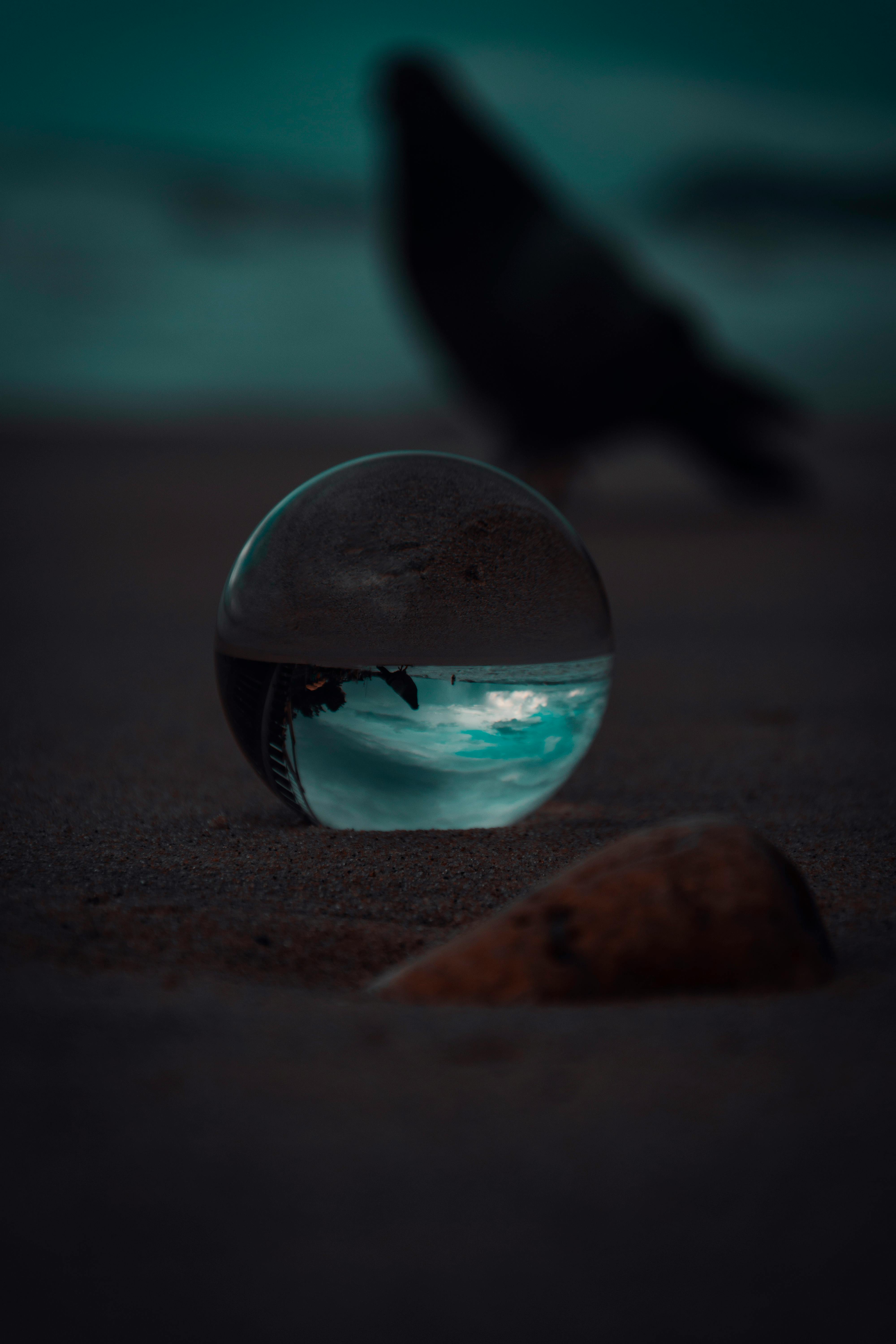 Shallow Focus Photo Of Glass Ball · Free Stock Photo