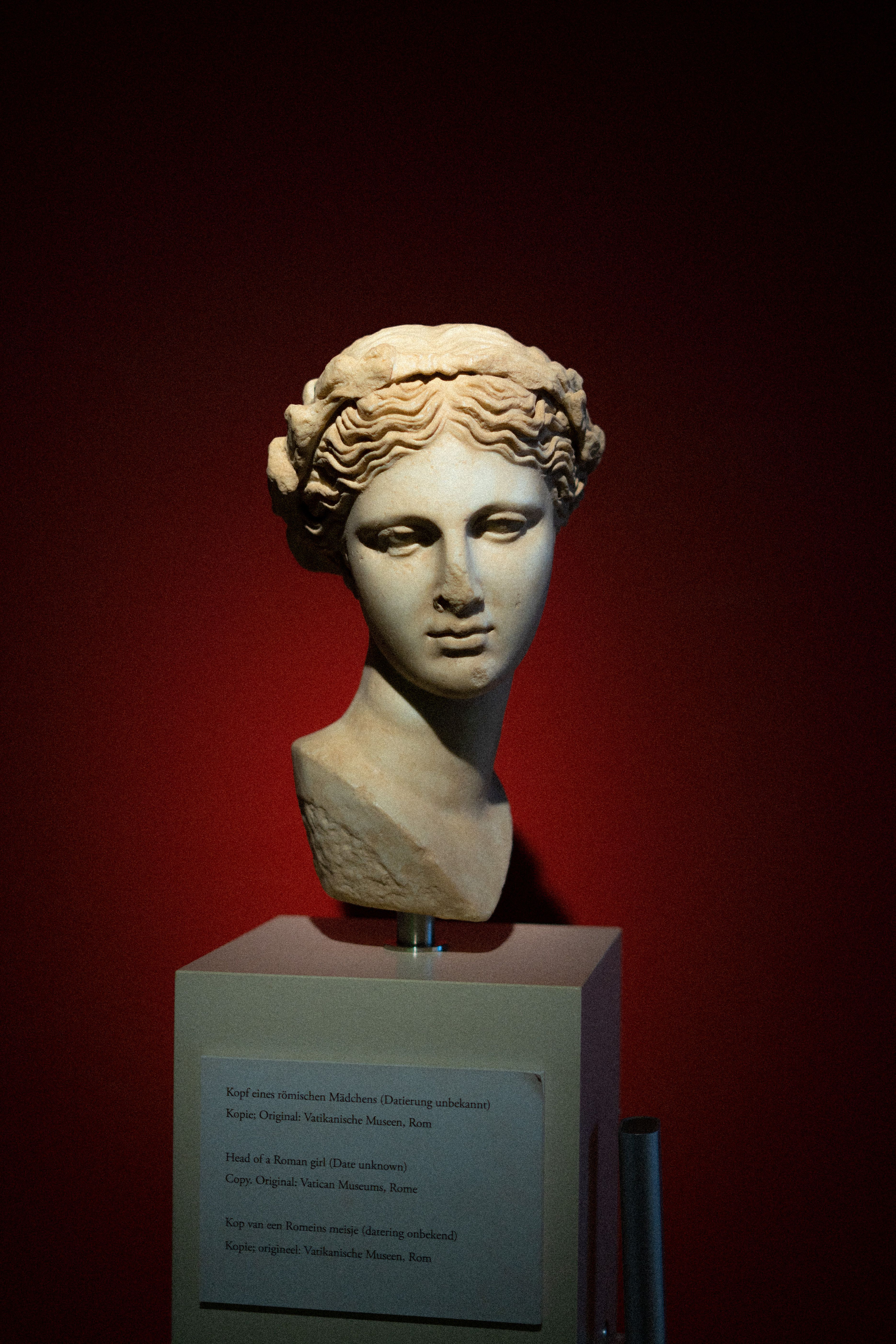 A Bust in a Musem · Free Stock Photo