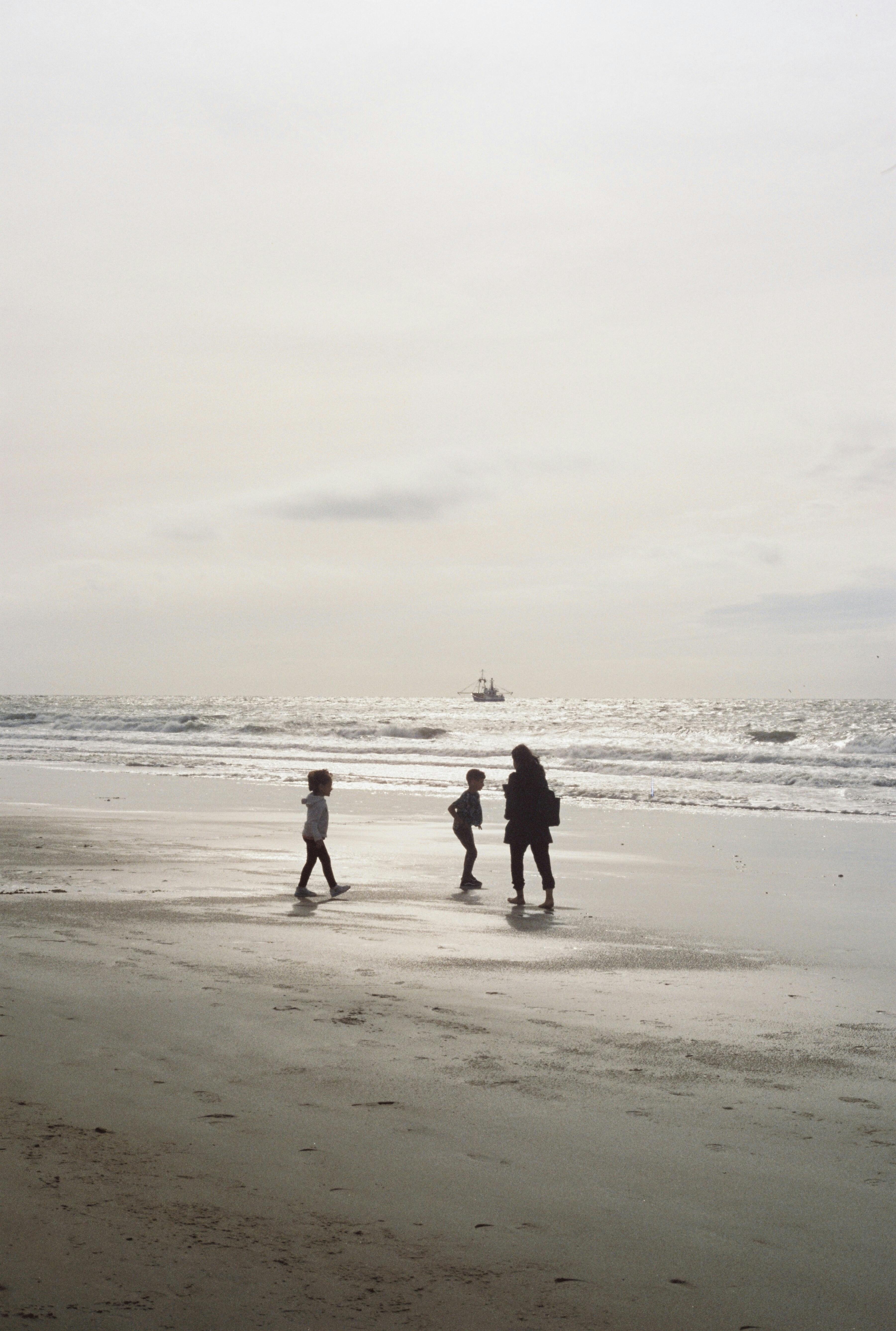 People Walking at the Beach · Free Stock Photo
