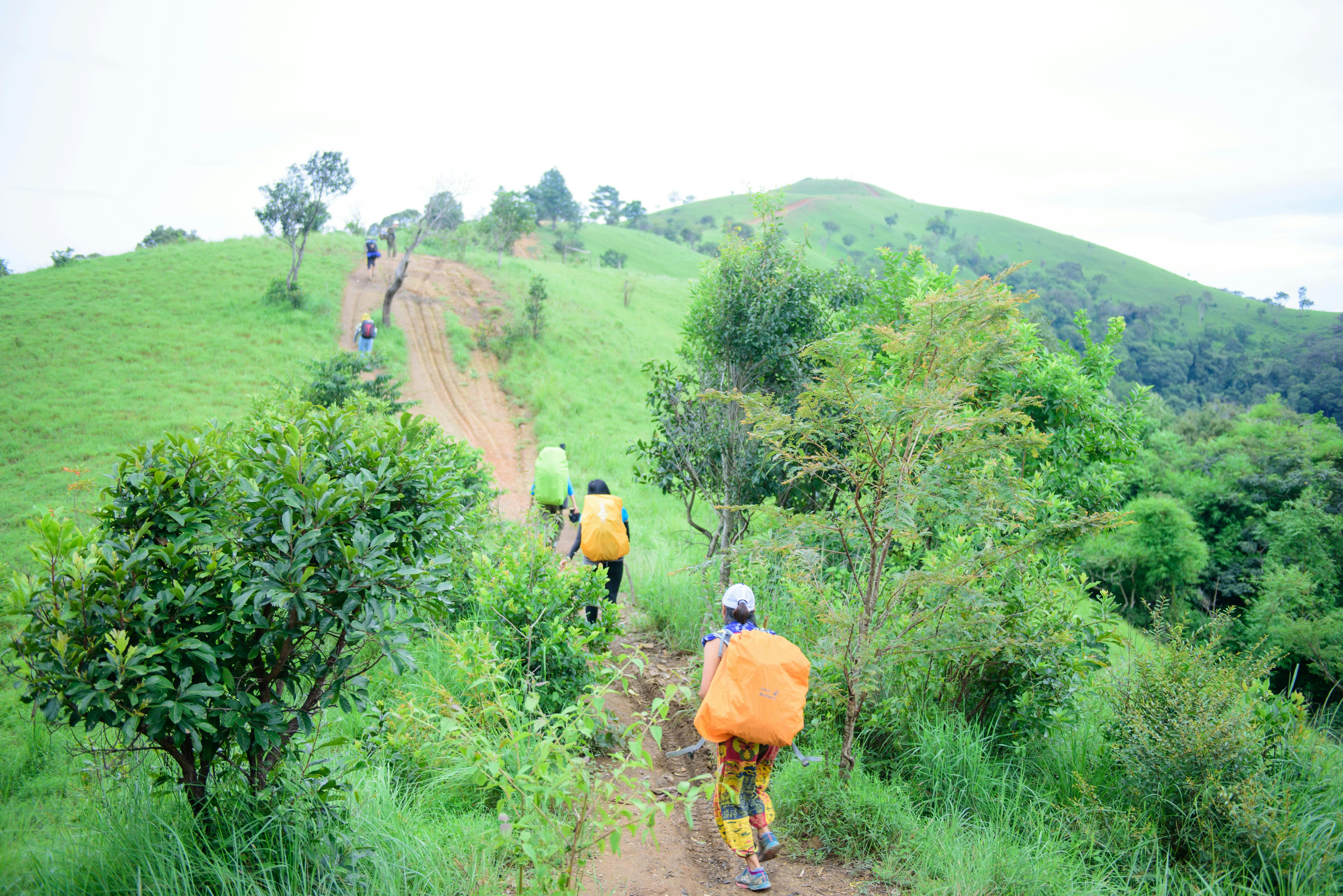 Photo of People Hiking · Free Stock Photo