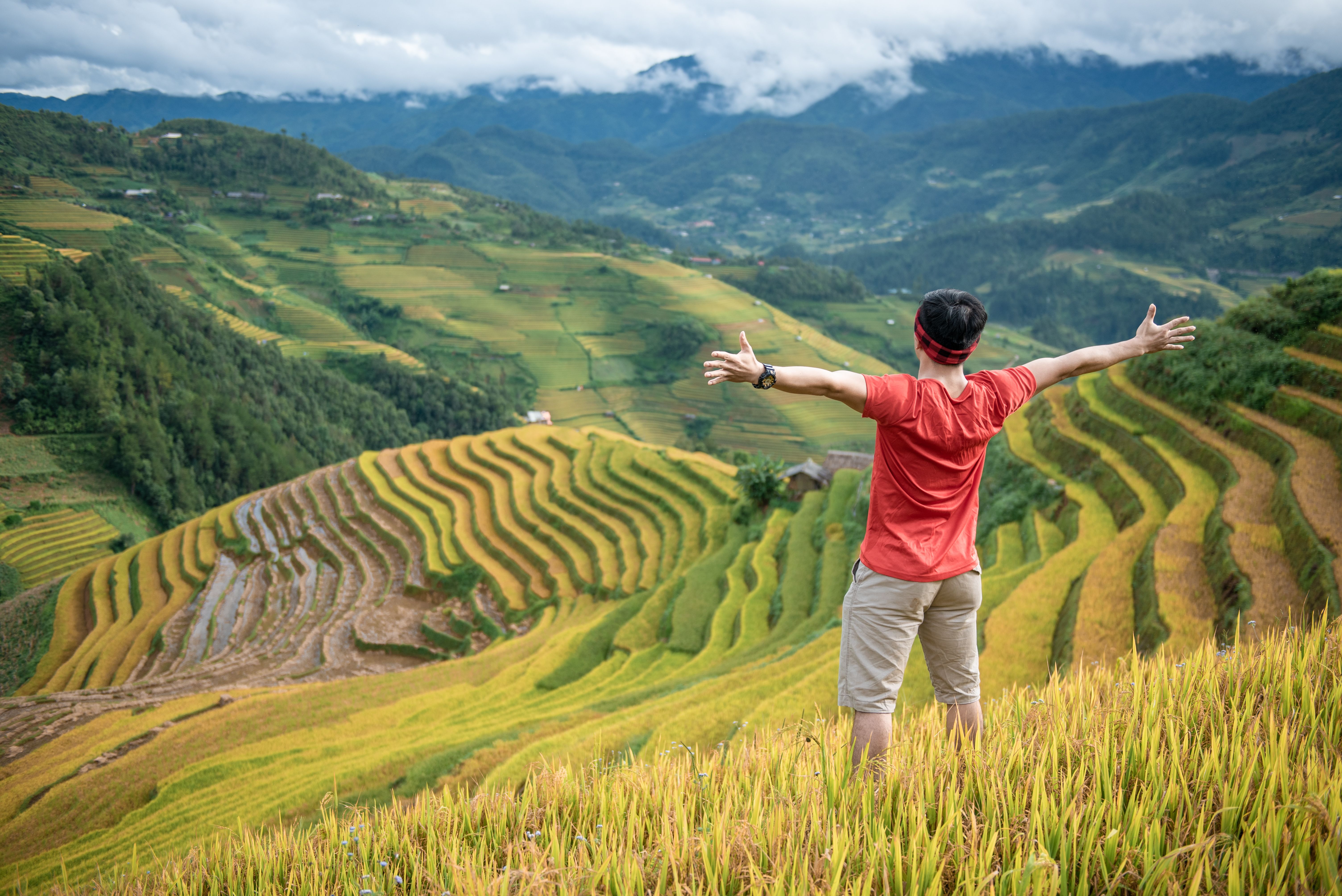 Person Standing on Rice Field · Free Stock Photo
