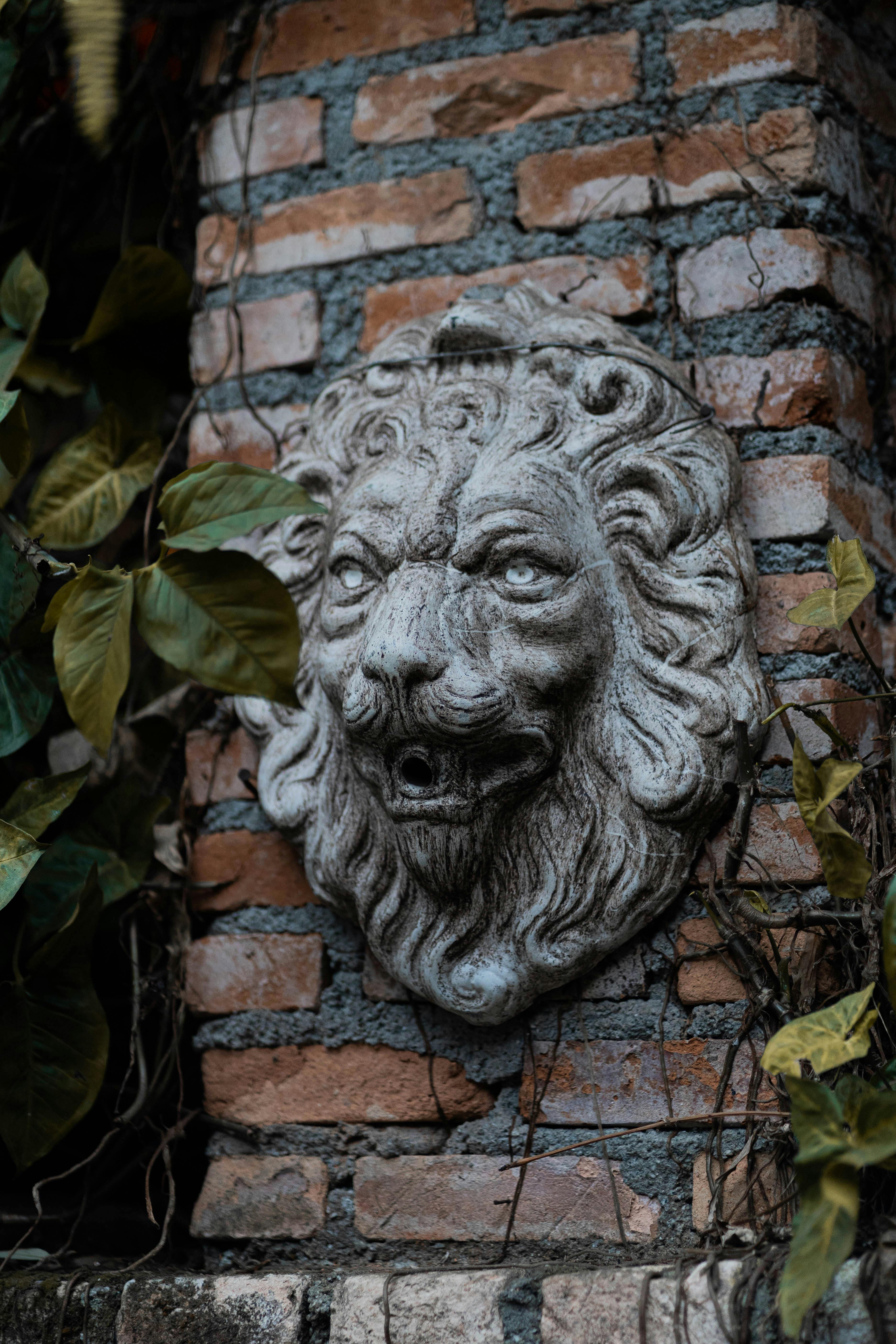 Artificial Lion Photos, Download The BEST Free Artificial Lion Stock ...