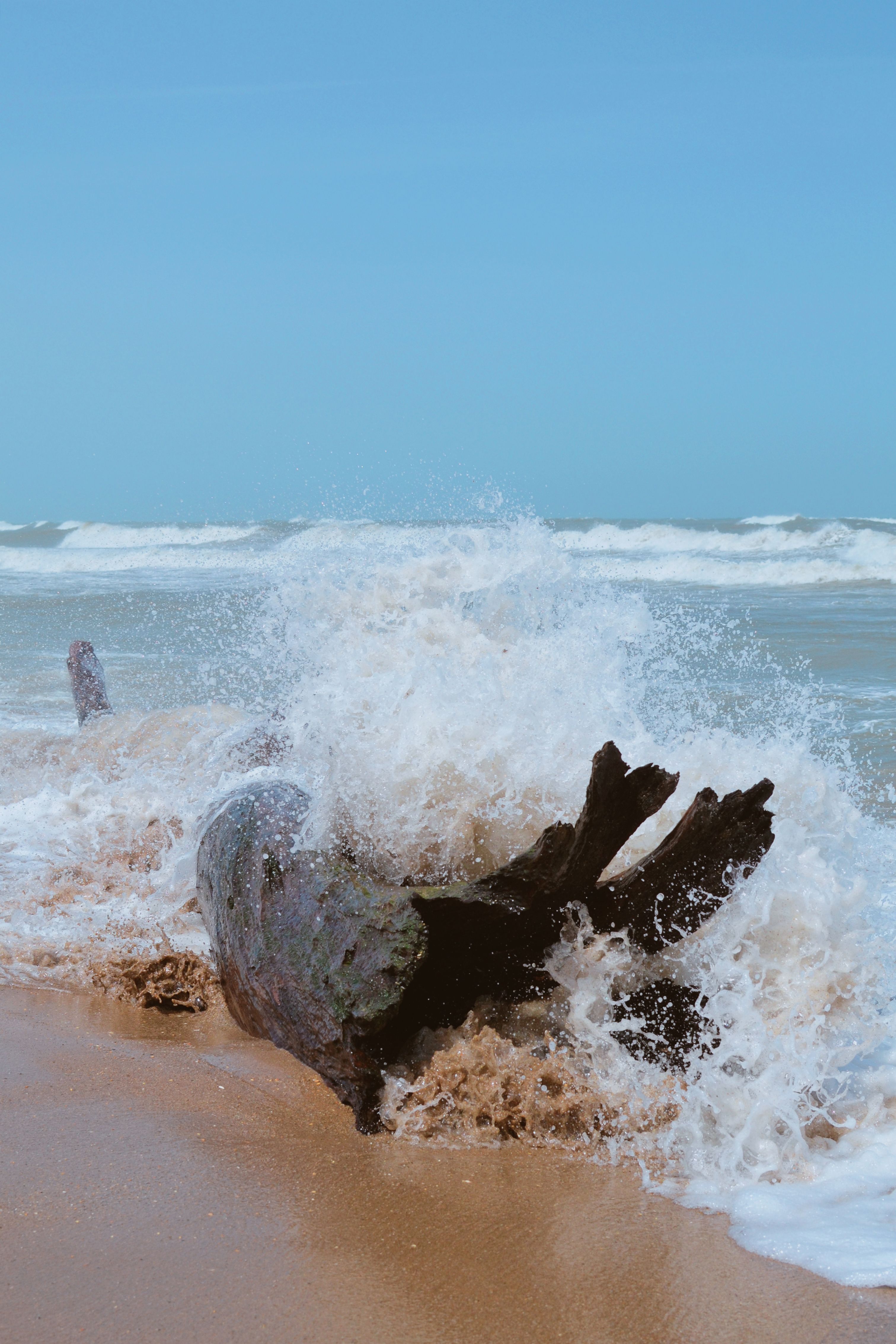 Sea Waves Crashing on Brown Wooden Log on Shore · Free Stock Photo