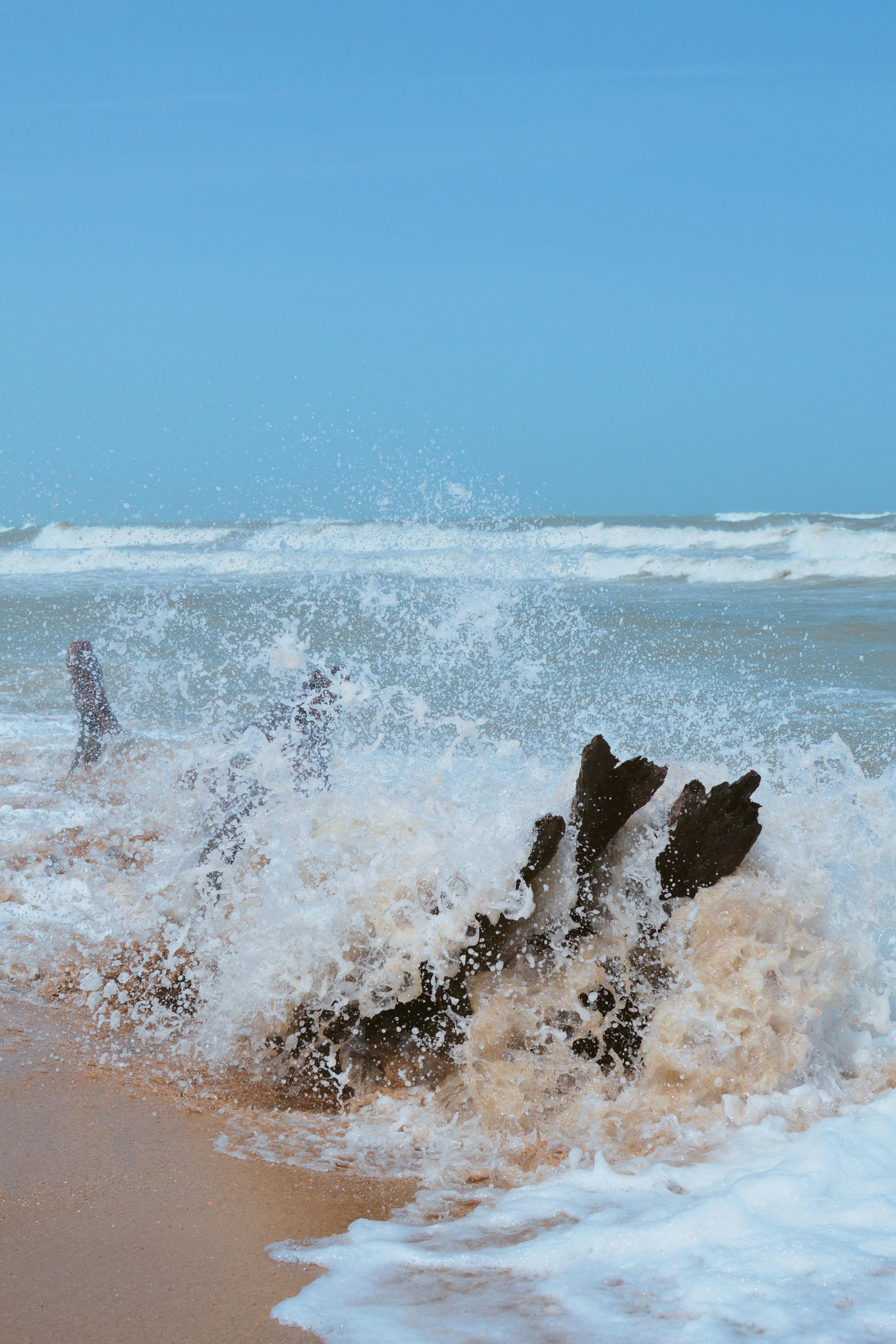 Sea Waves Crashing on Black Woods on Shore · Free Stock Photo