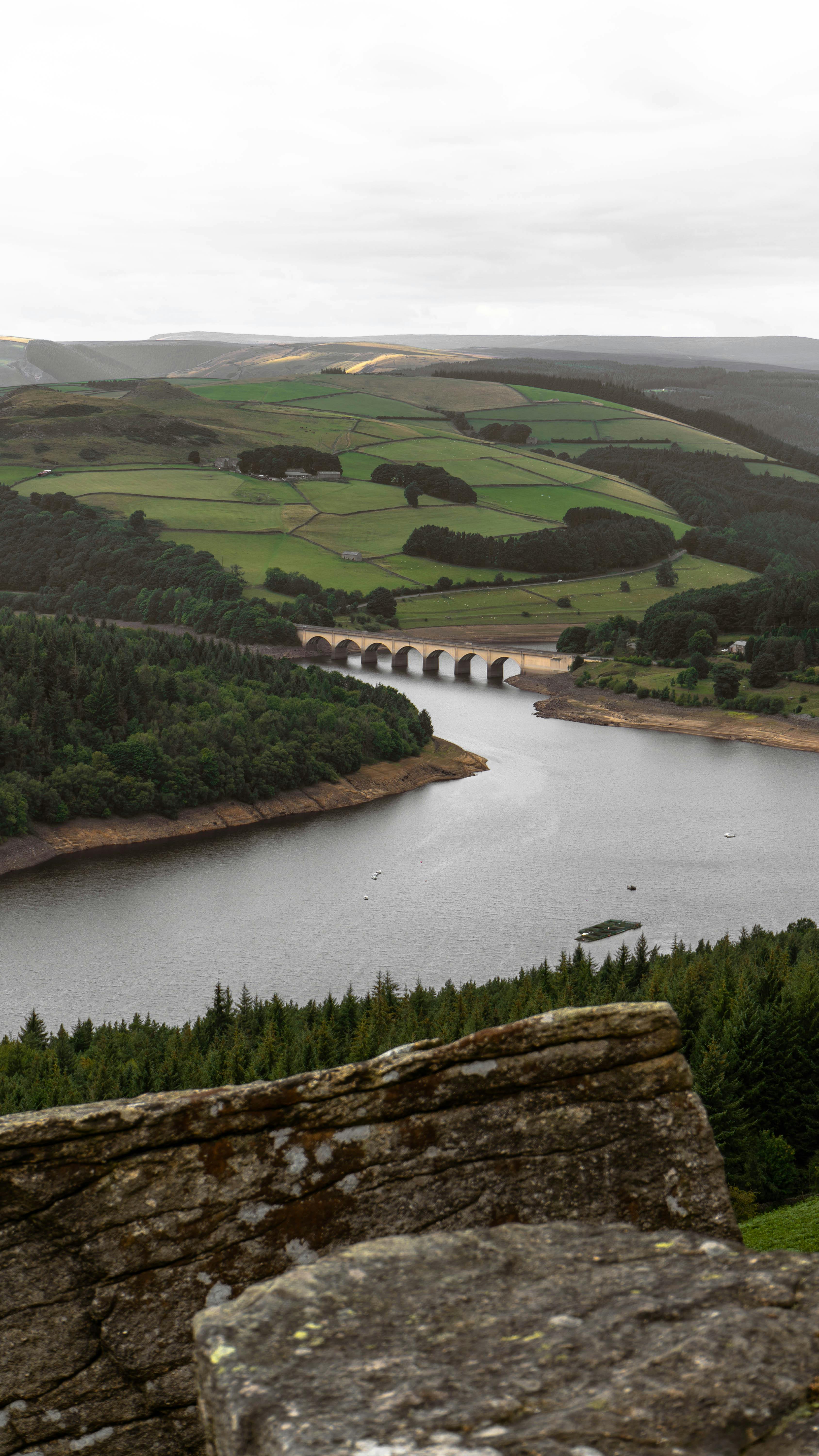 River Trash Photos, Download The BEST Free River Trash Stock Photos ...