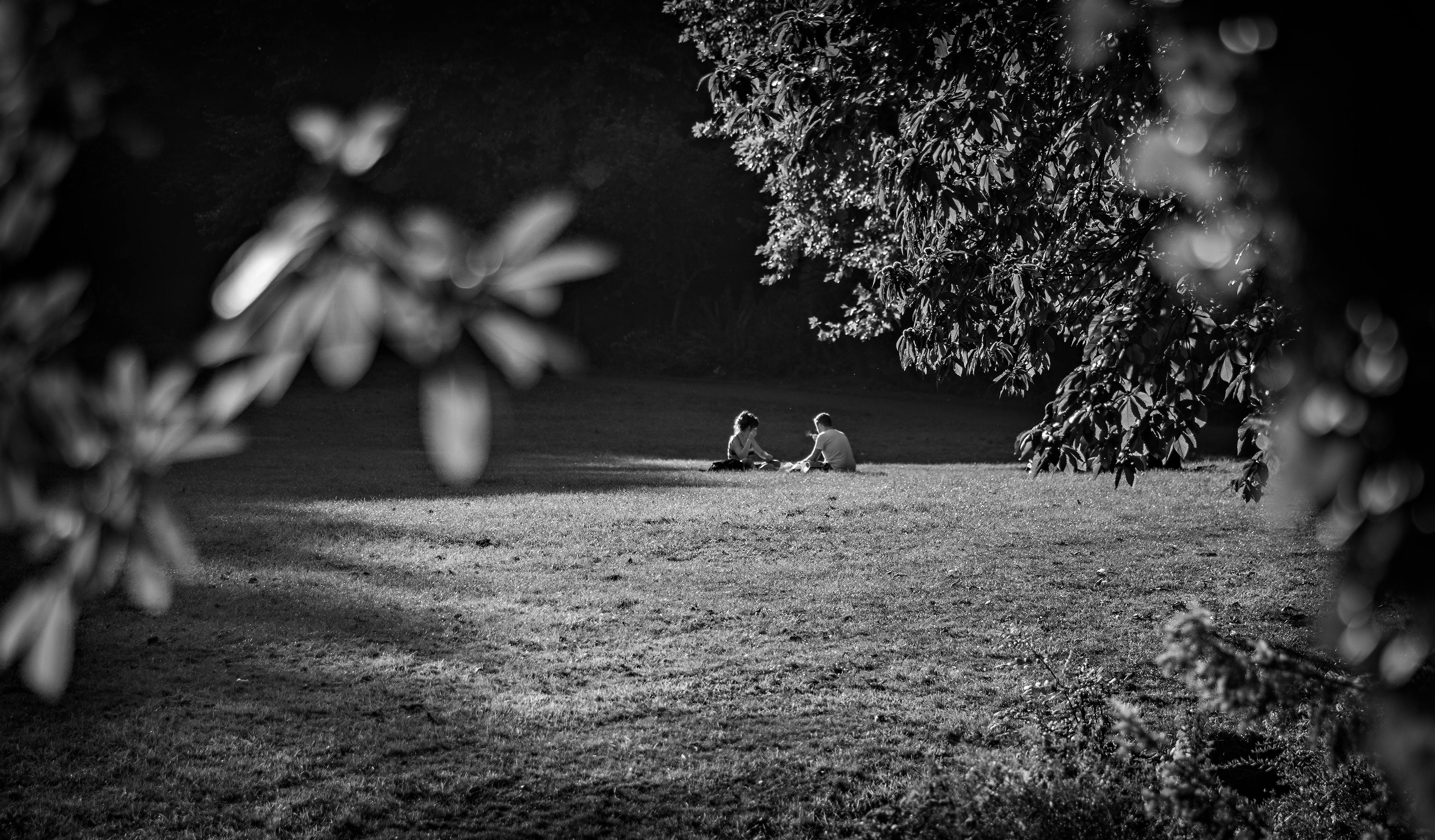 Grayscale Photo of a Couple Sitting on Grass Field · Free Stock Photo