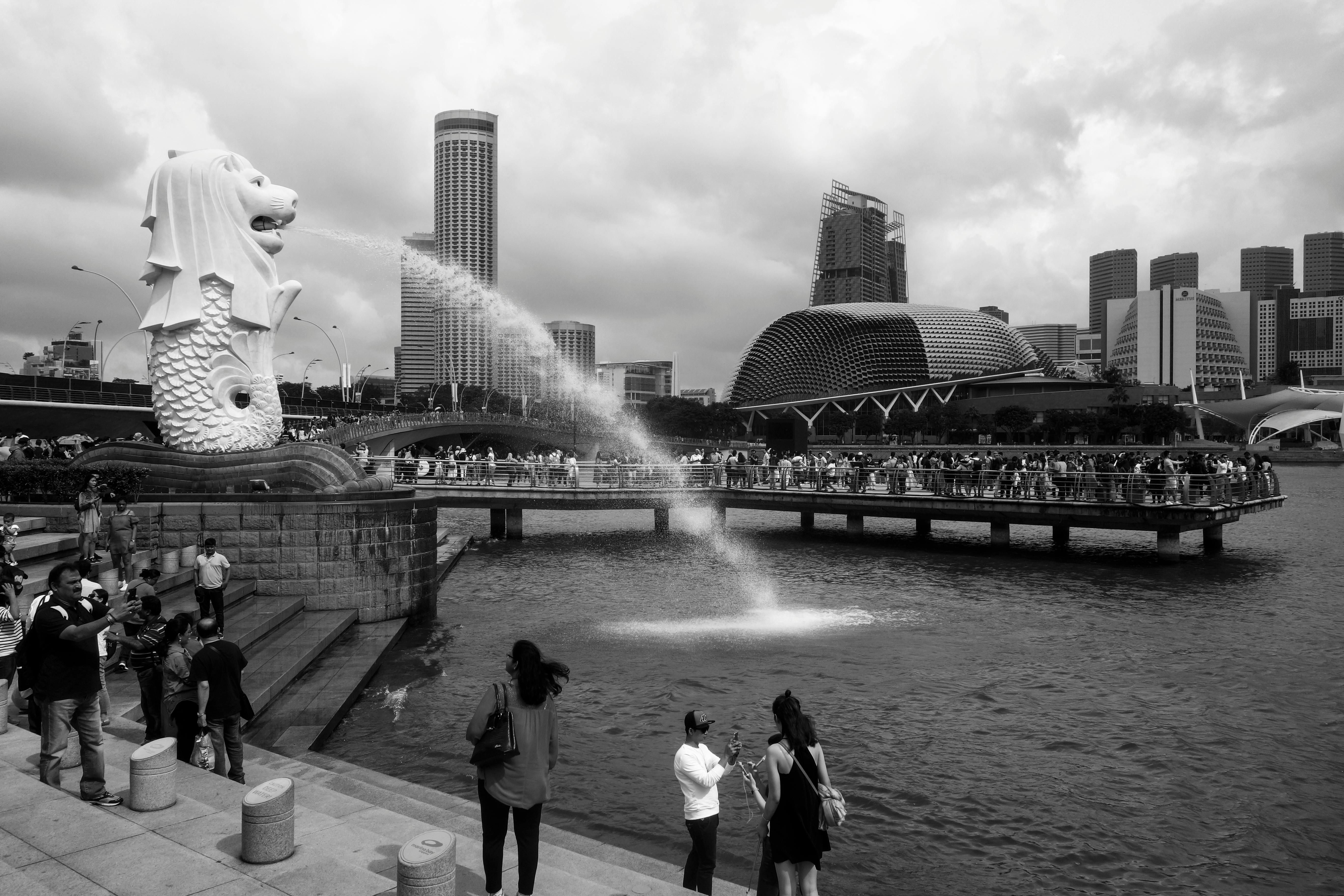 Merlion Photos, Download The BEST Free Merlion Stock Photos & HD Images