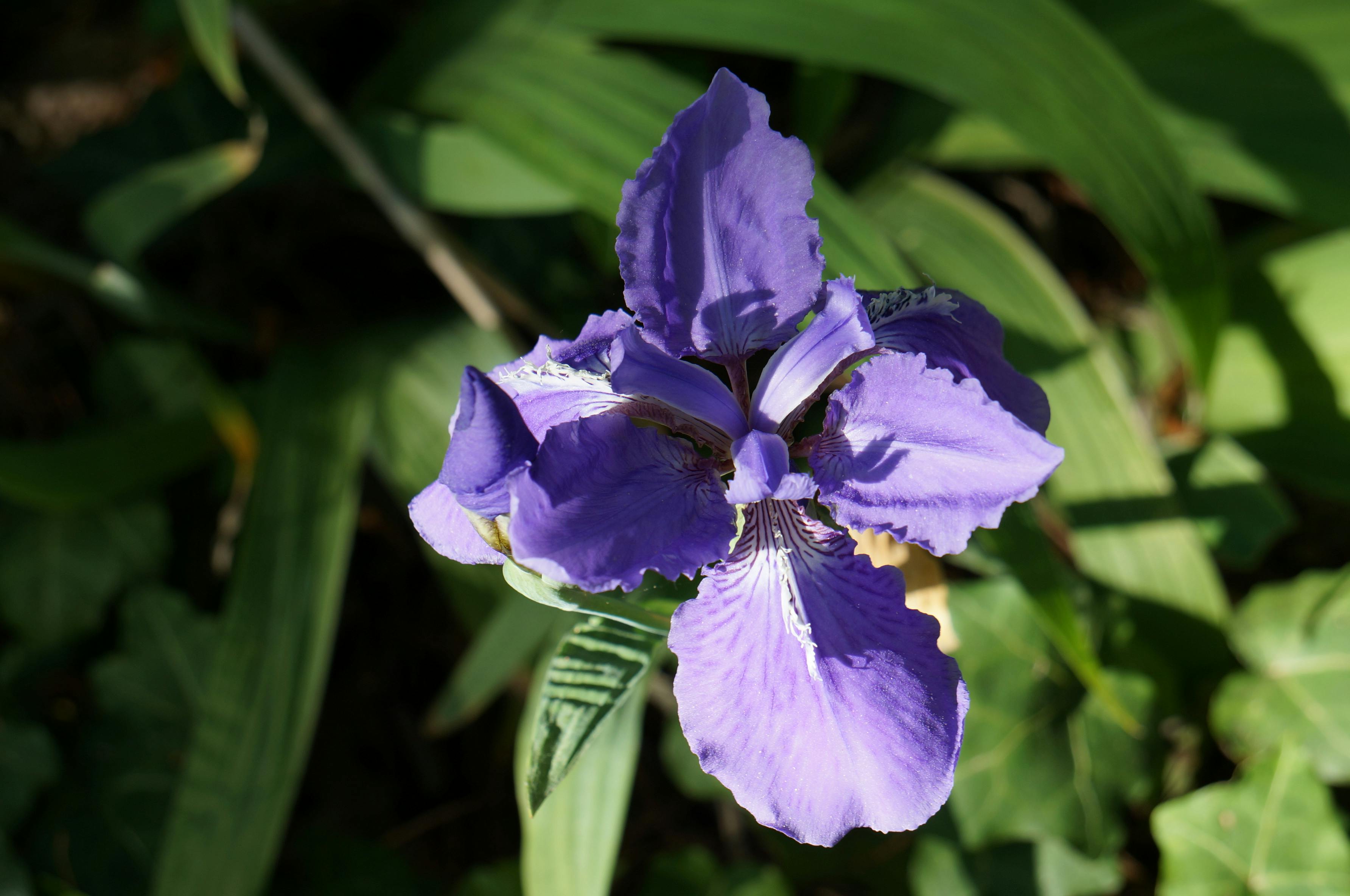 Tony Rogers – Fotografie