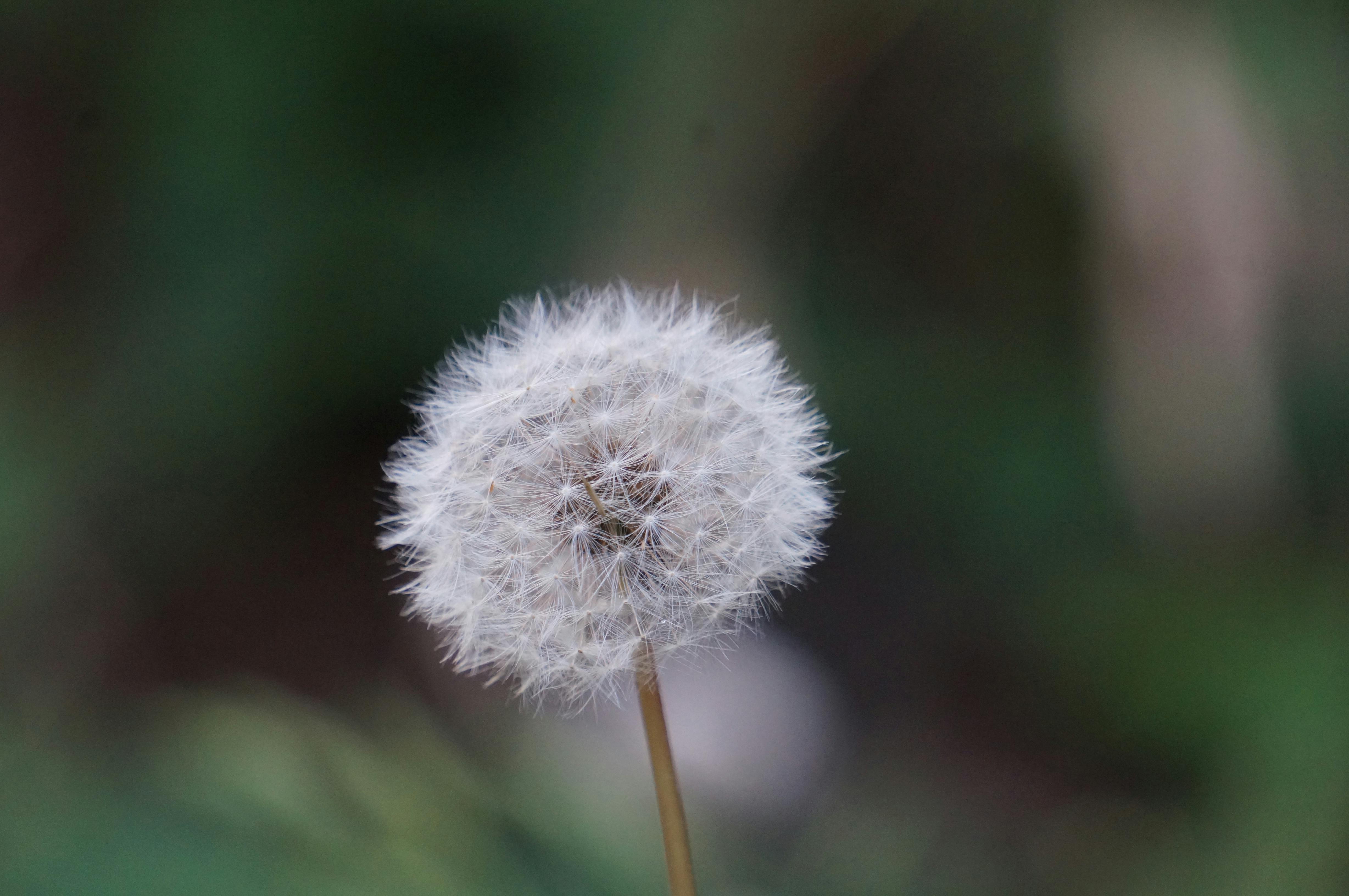 Tony Rogers – Fotografie