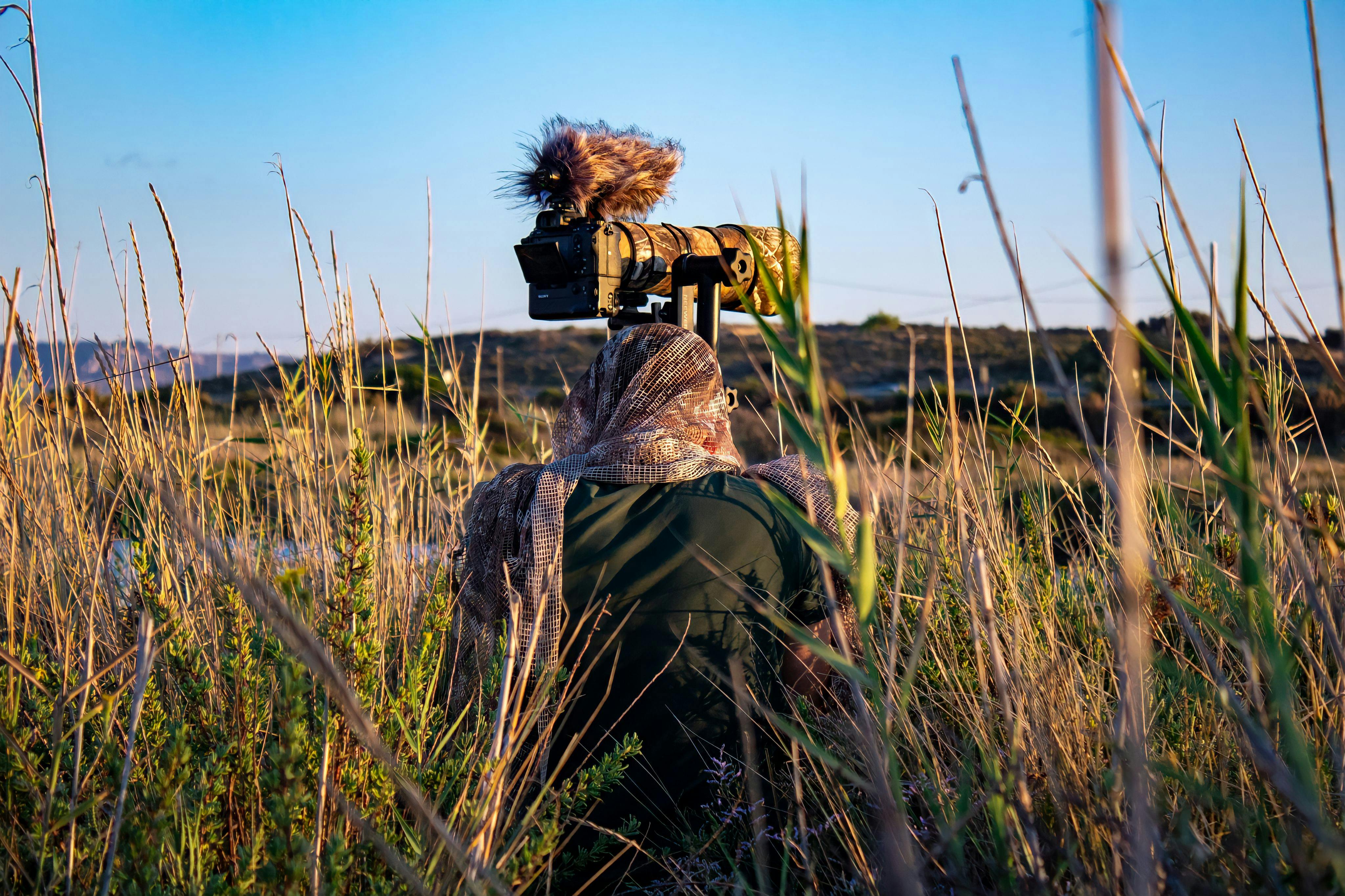 Cameraman In Nature Photos, Download The BEST Free Cameraman In Nature ...