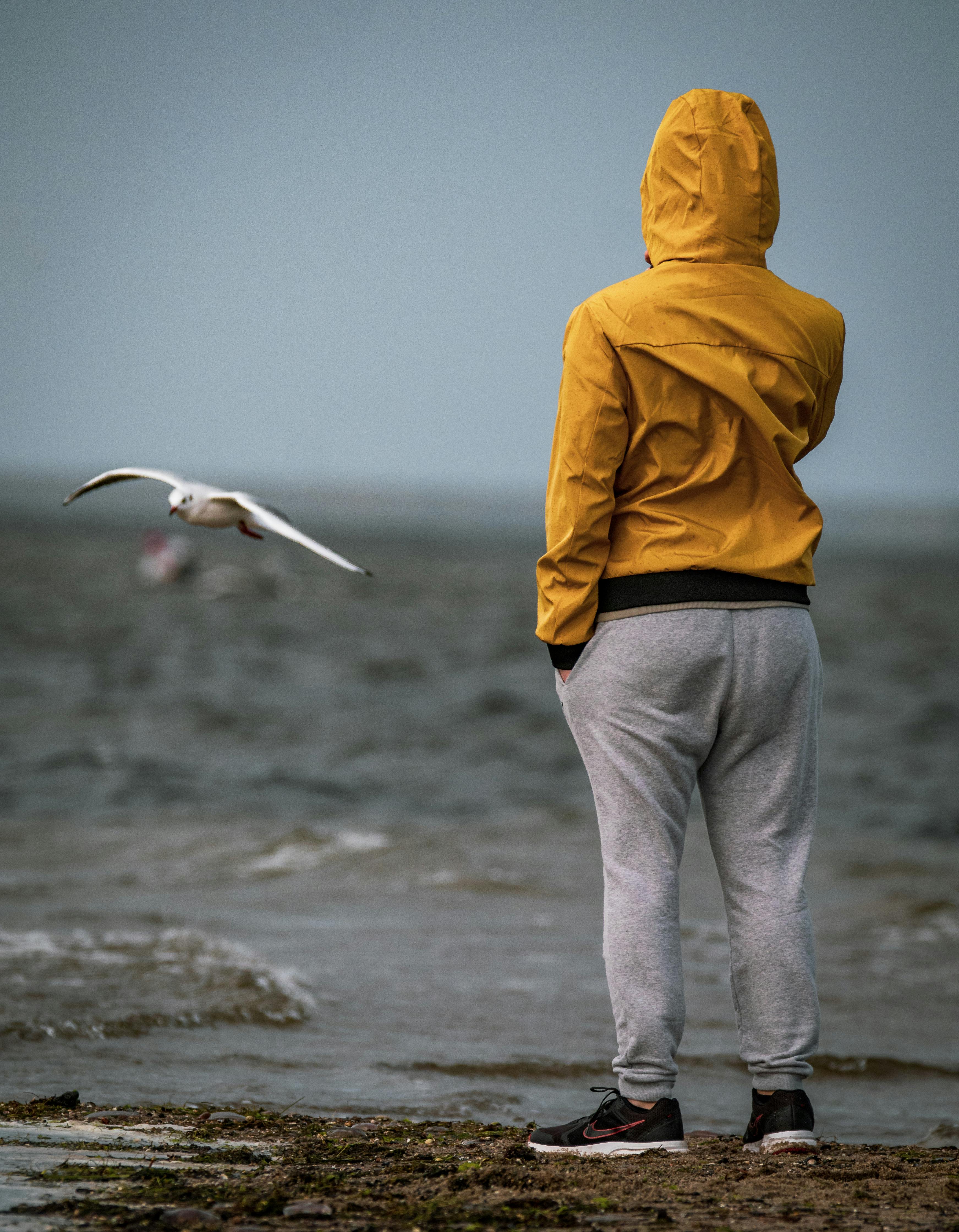 Photo of a Standing Person with Flying Bird · Free Stock Photo