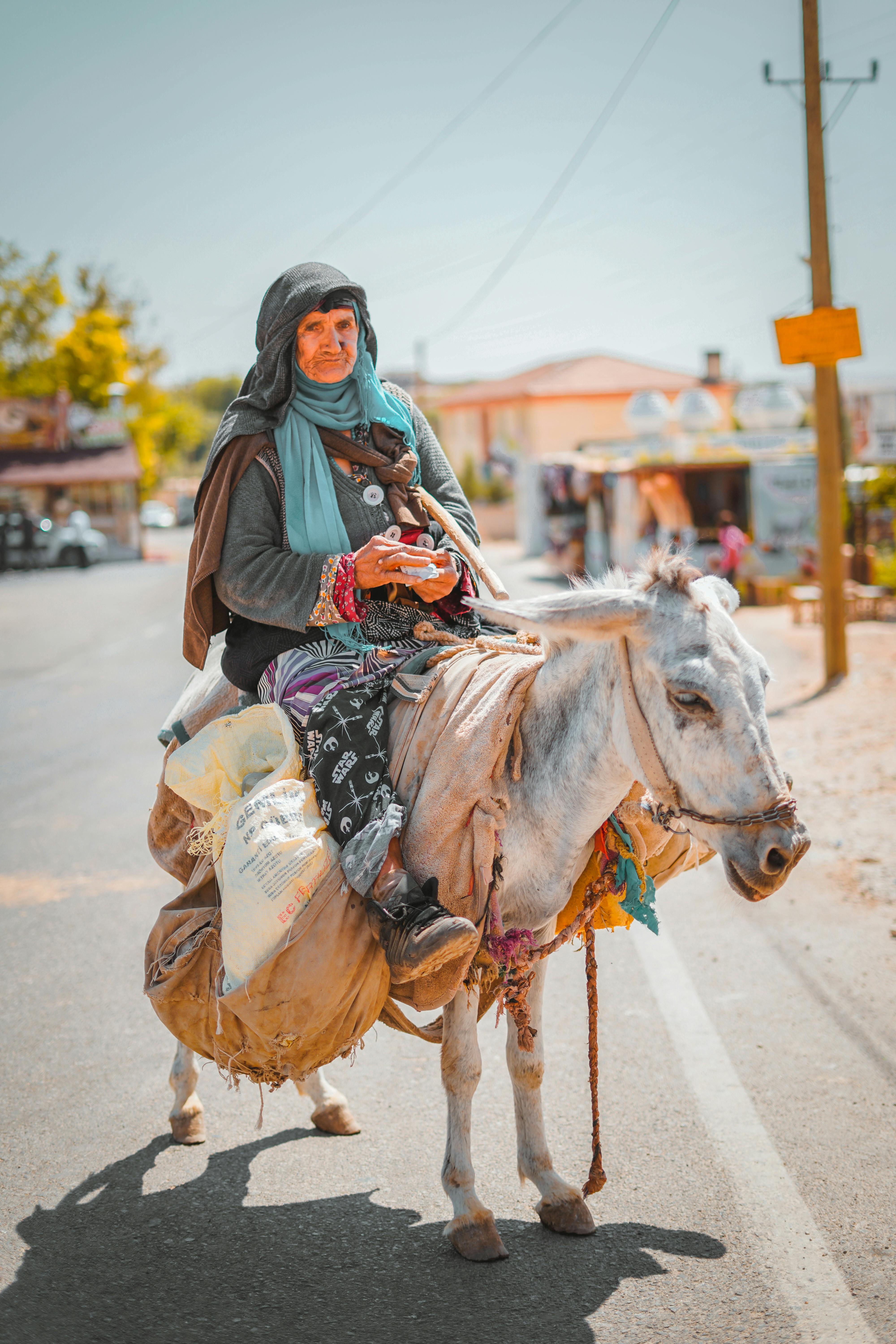 Woman On A Mule Photos, Download The BEST Free Woman On A Mule Stock ...