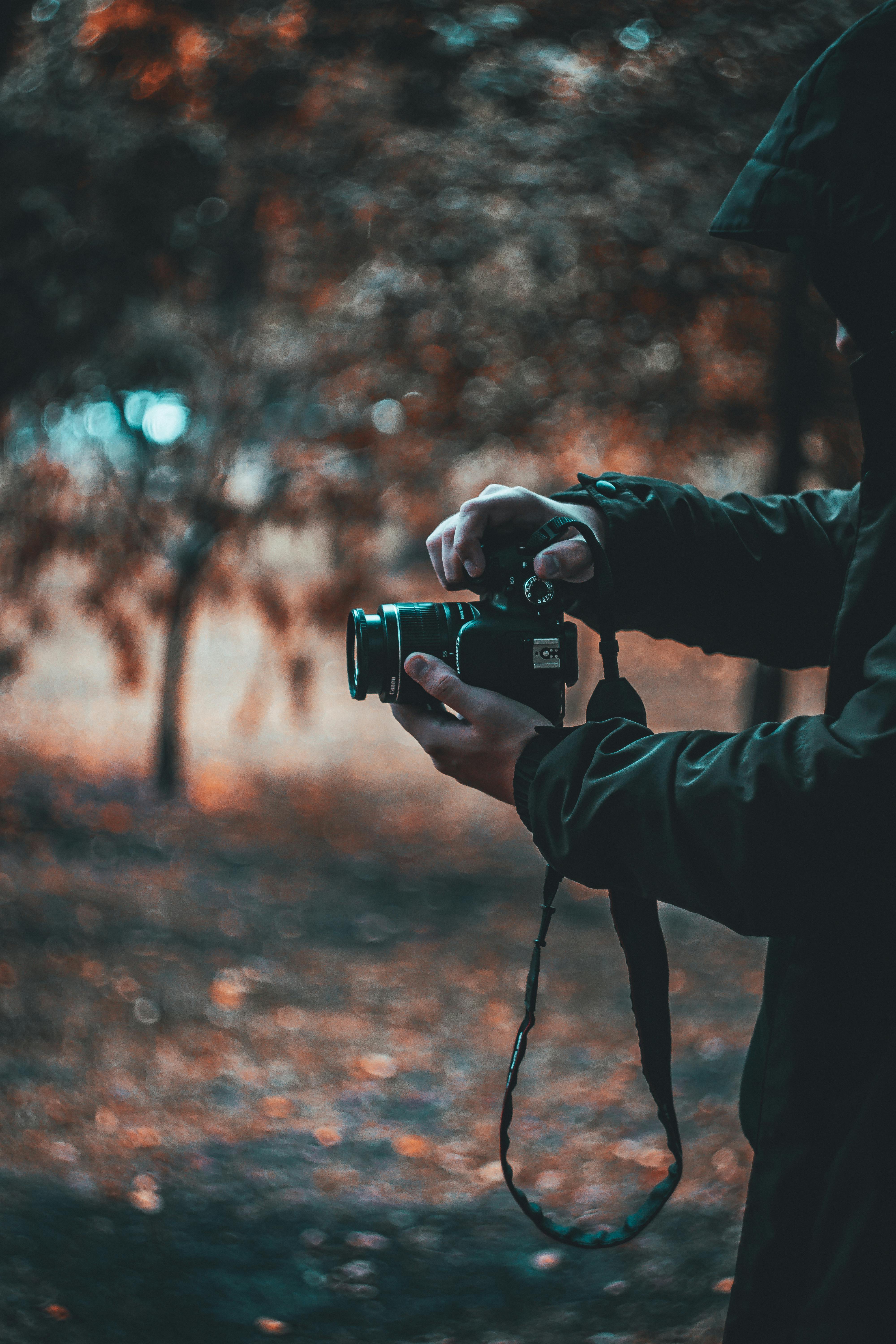 A Person Holding a Camera · Free Stock Photo