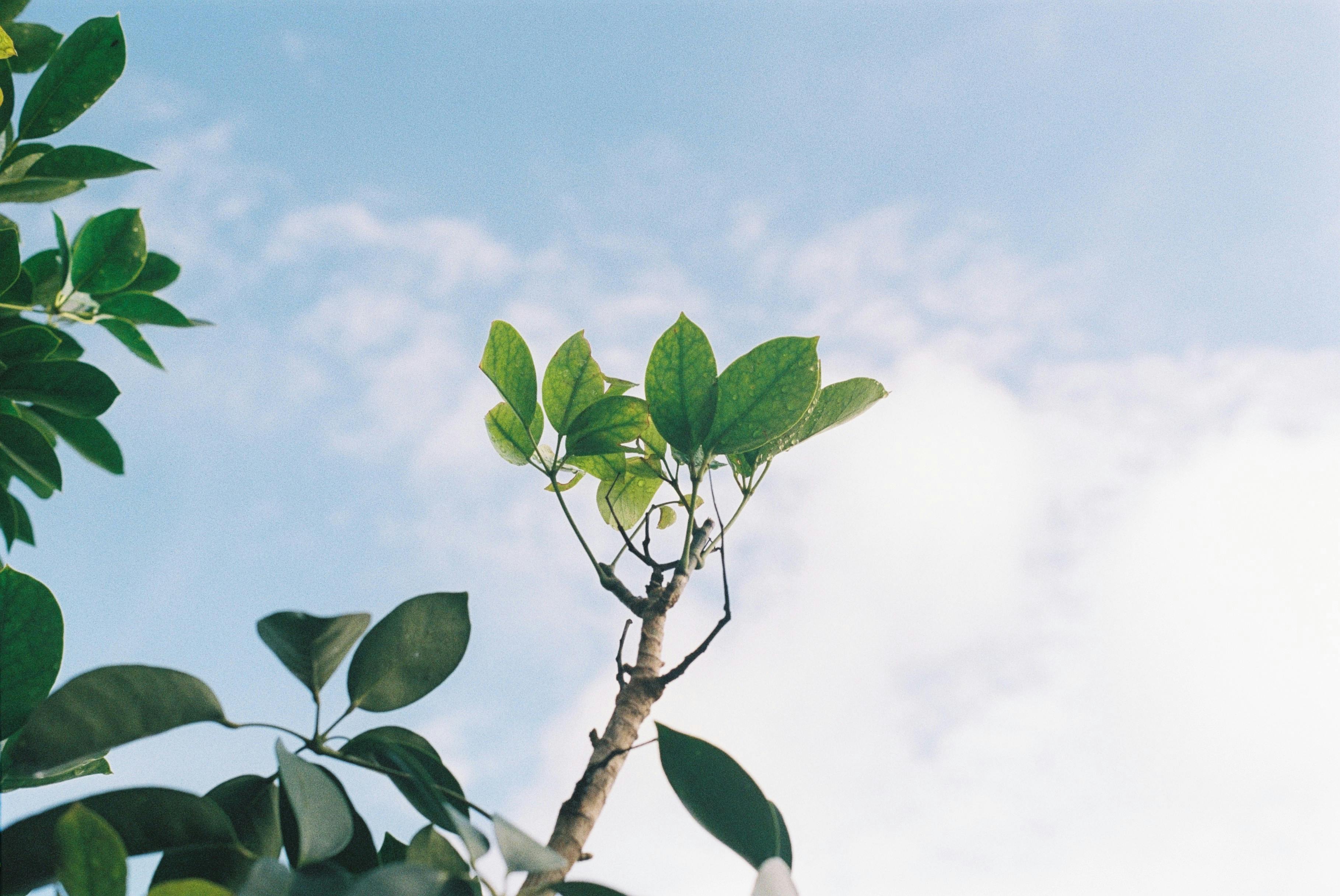 Sky Badal Photos, Download The BEST Free Sky Badal Stock Photos & HD Images