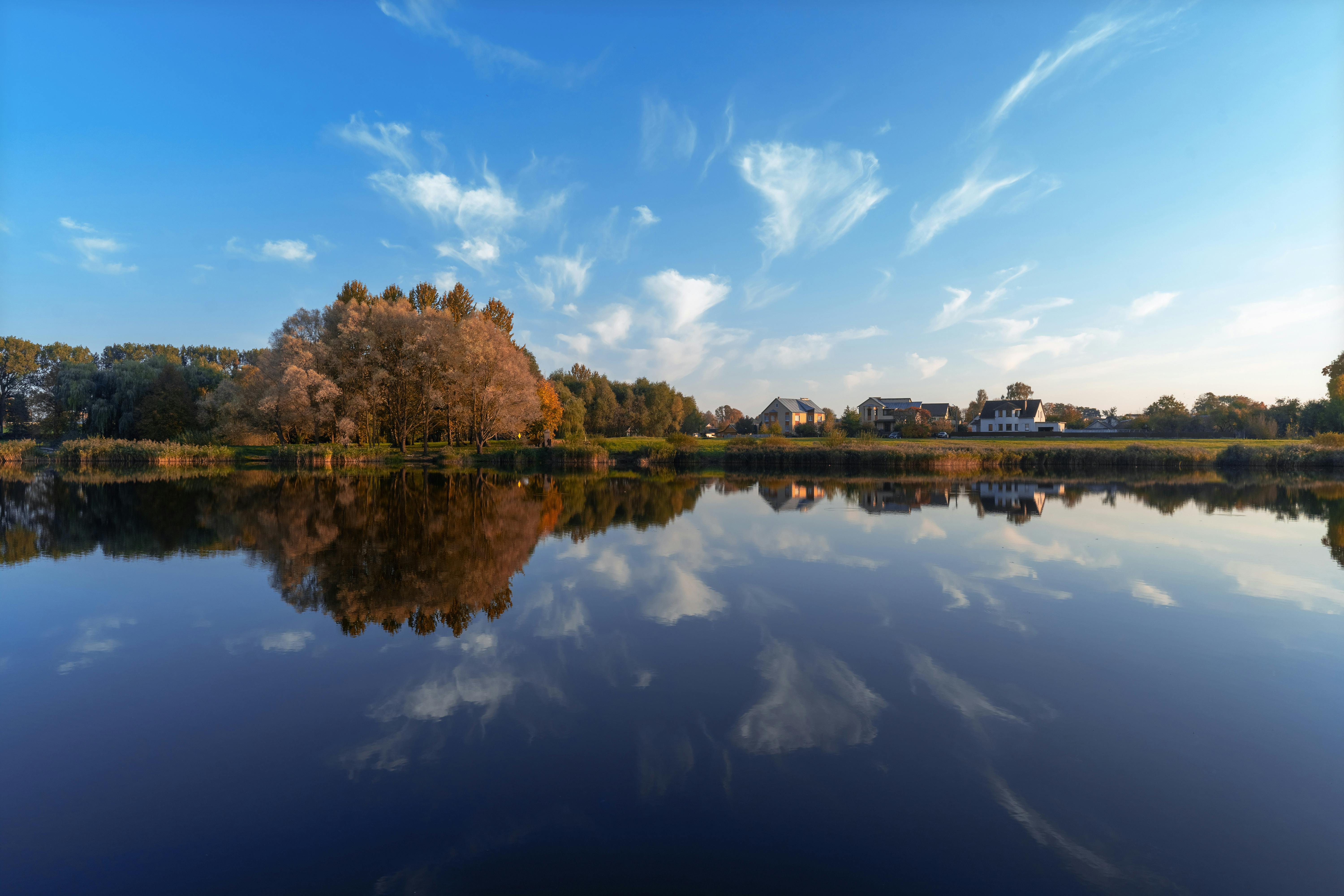 A Forest Reflection in Still Calm Water Surface · Free Stock Photo