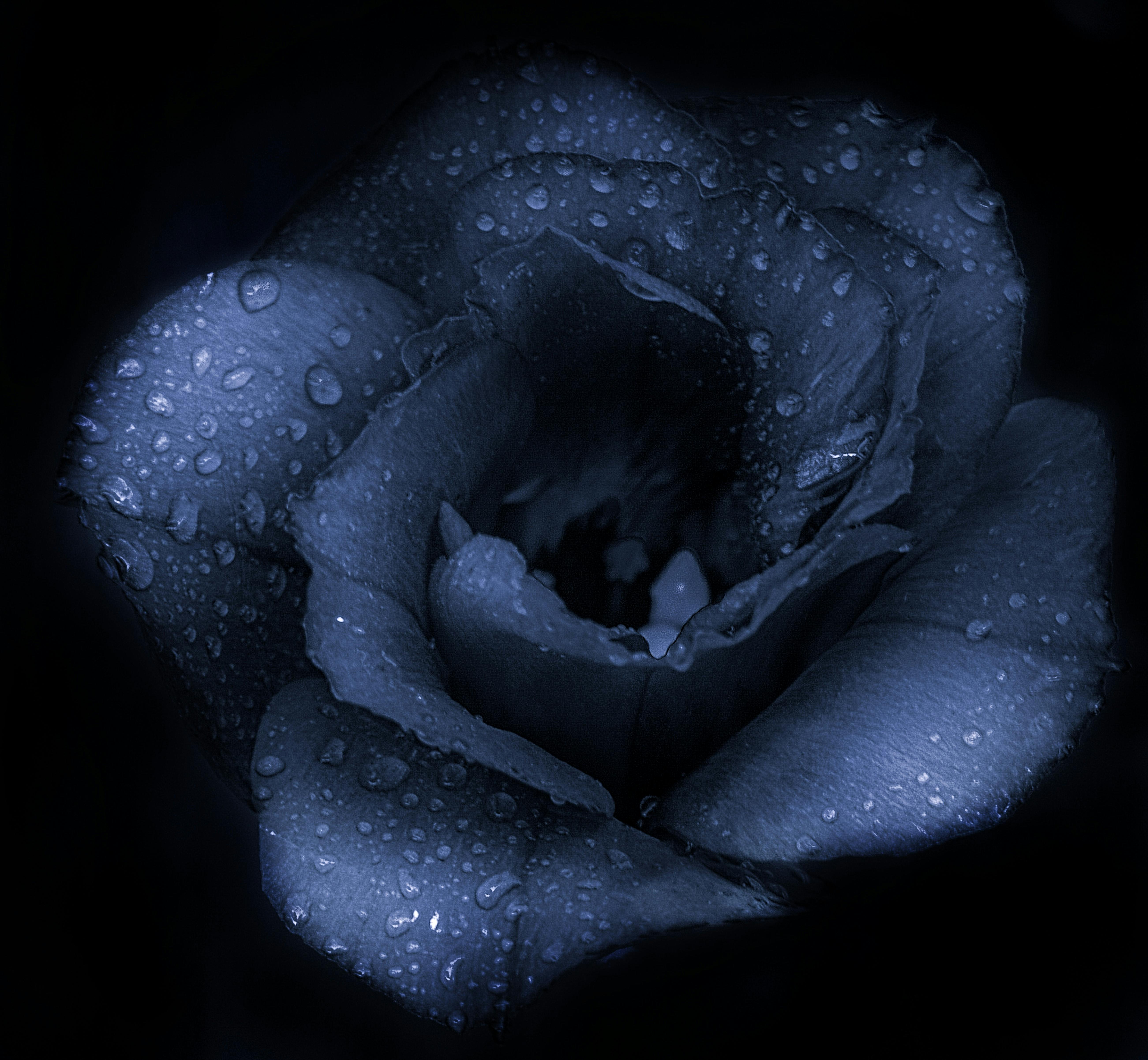 Rachel Xiao · Photography
