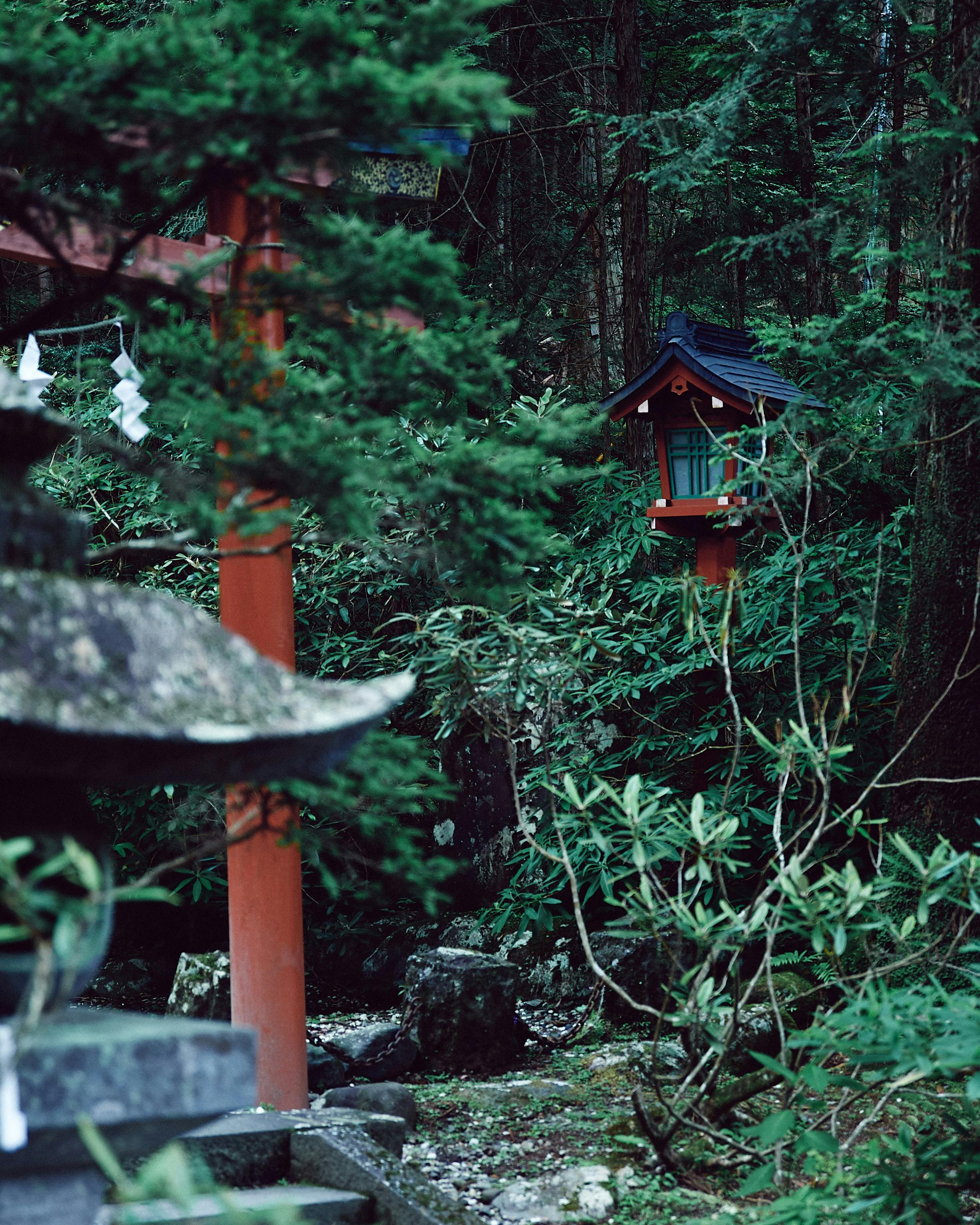 Toro Photos, Download The BEST Free Toro Stock Photos & HD Images