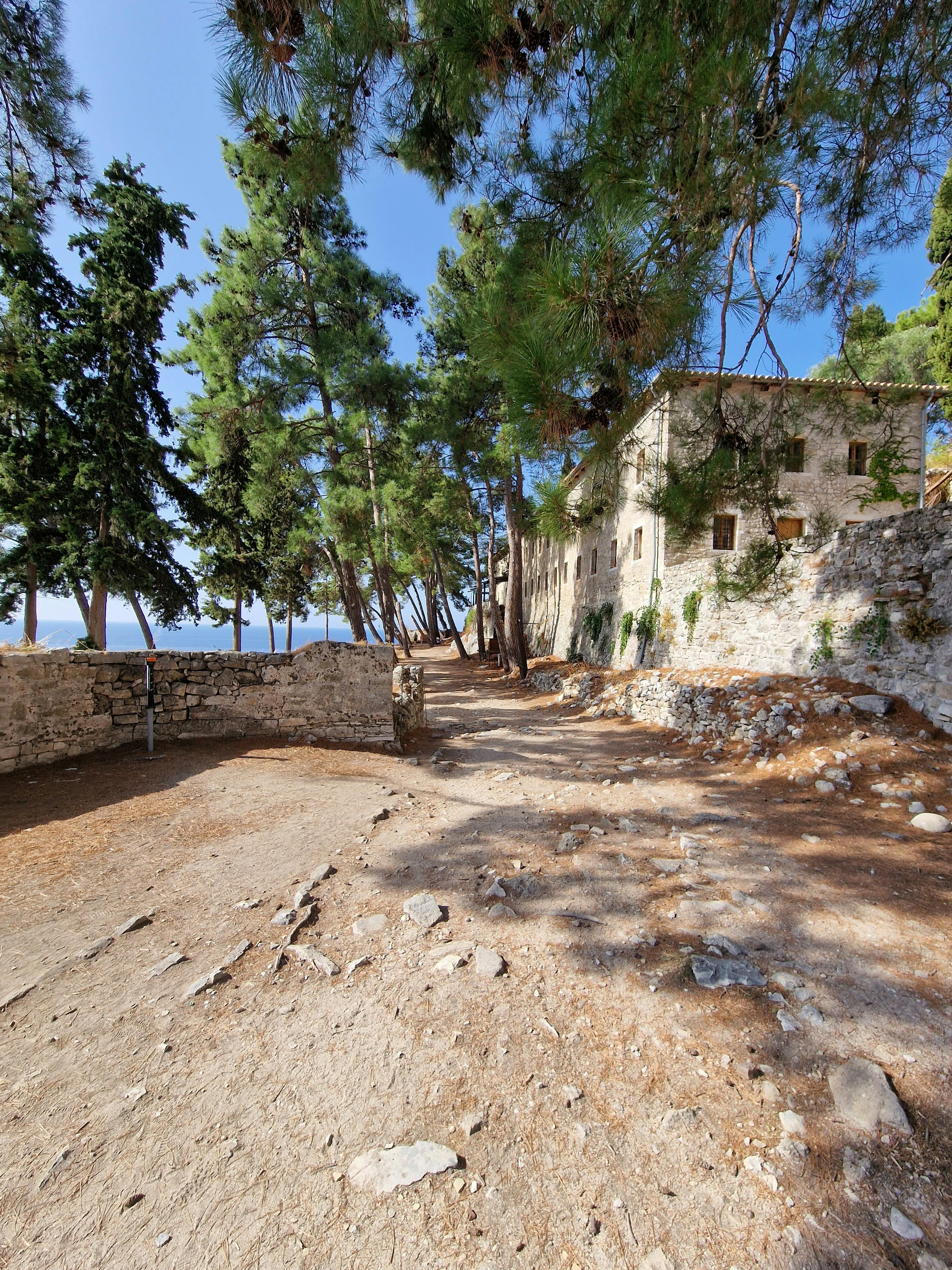 Footpath in Seaside Forest · Free Stock Photo
