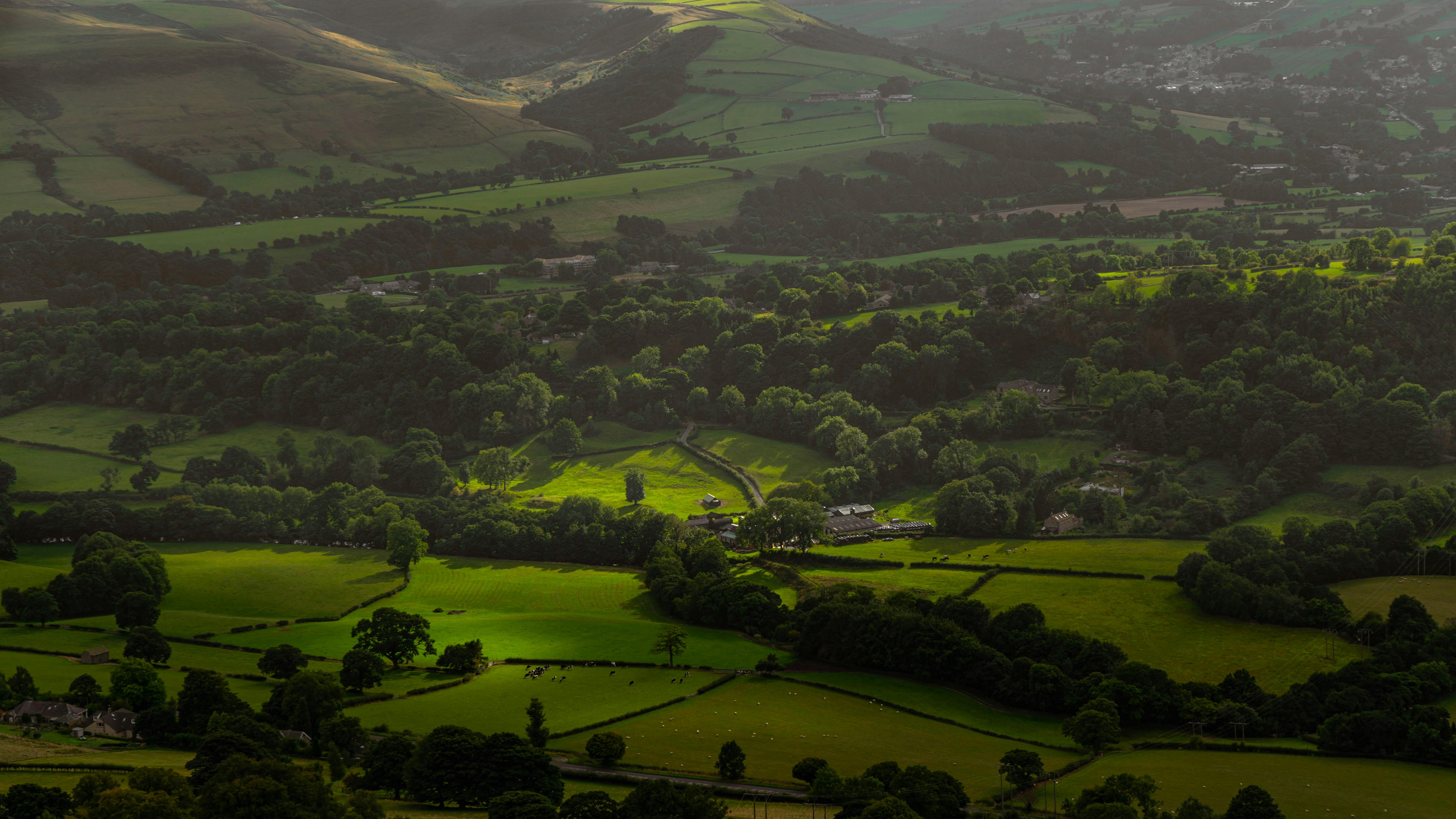 Green Plantations in Countryside Landscape · Free Stock Photo