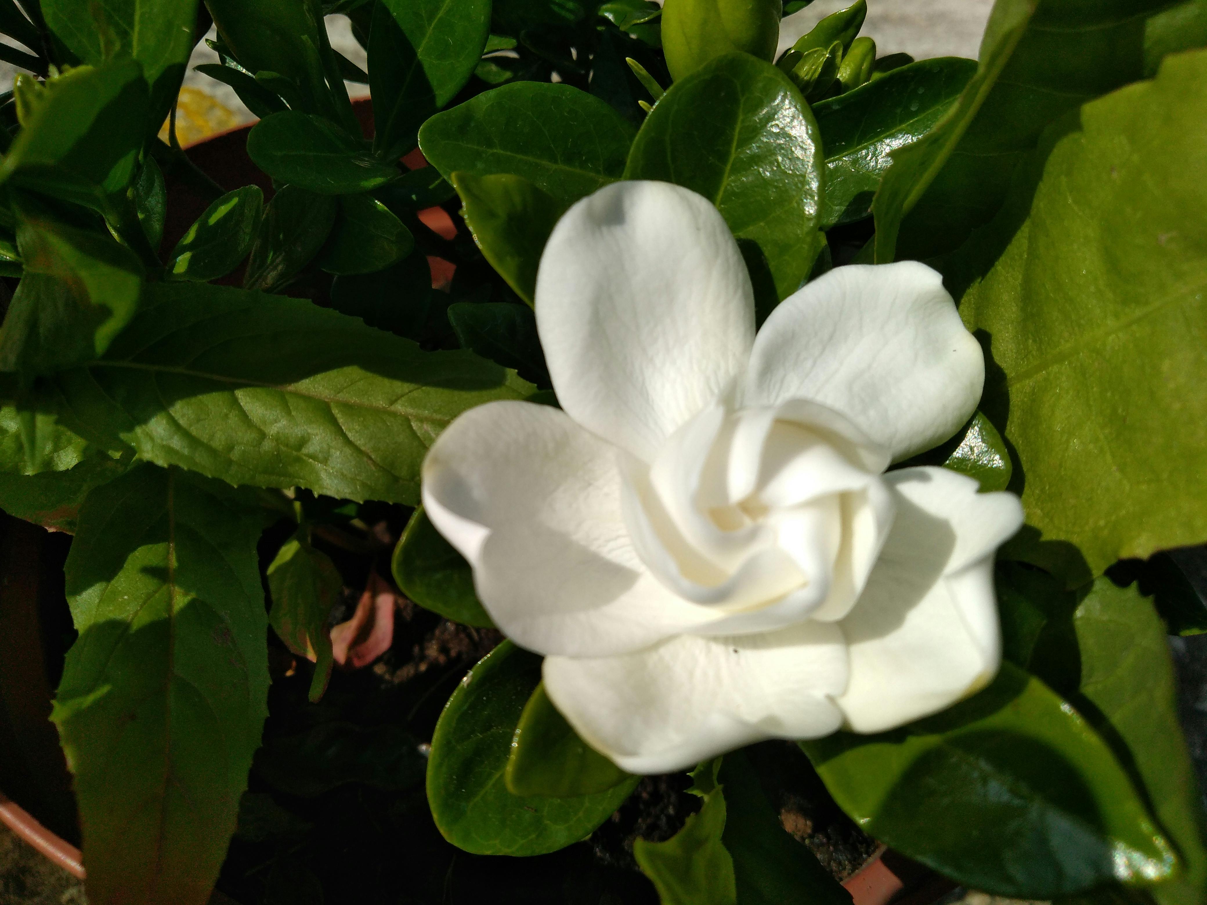 Caroline Roth – Fotografia