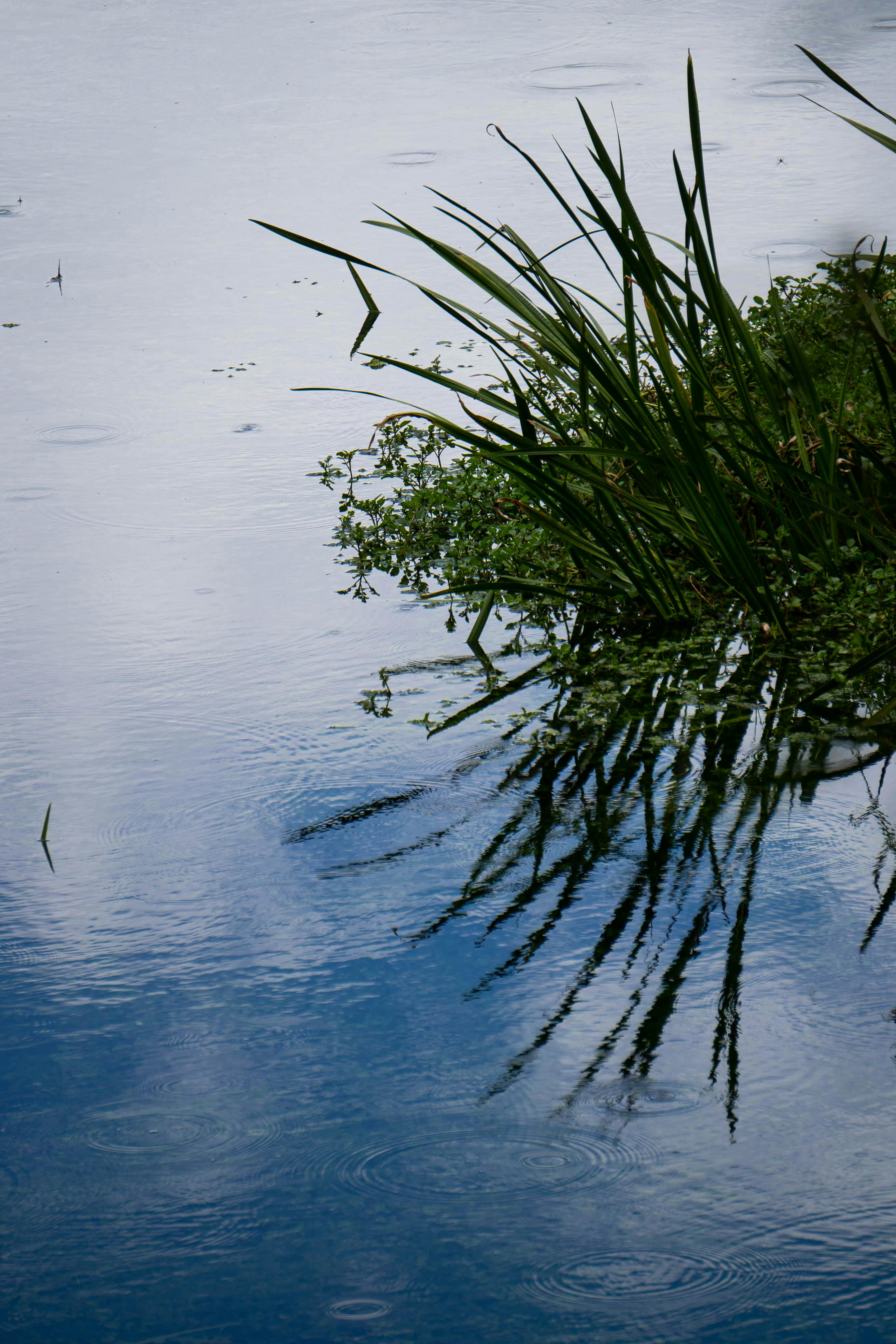 Radio Photo Patrika Sathi - Photography